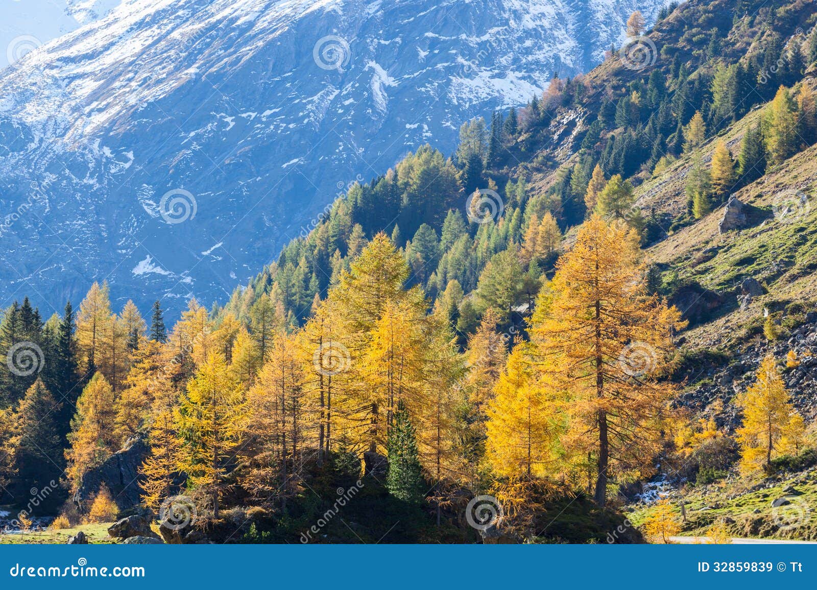 Alp forest stock image. Image of european, nonurban, autumn - 32859839