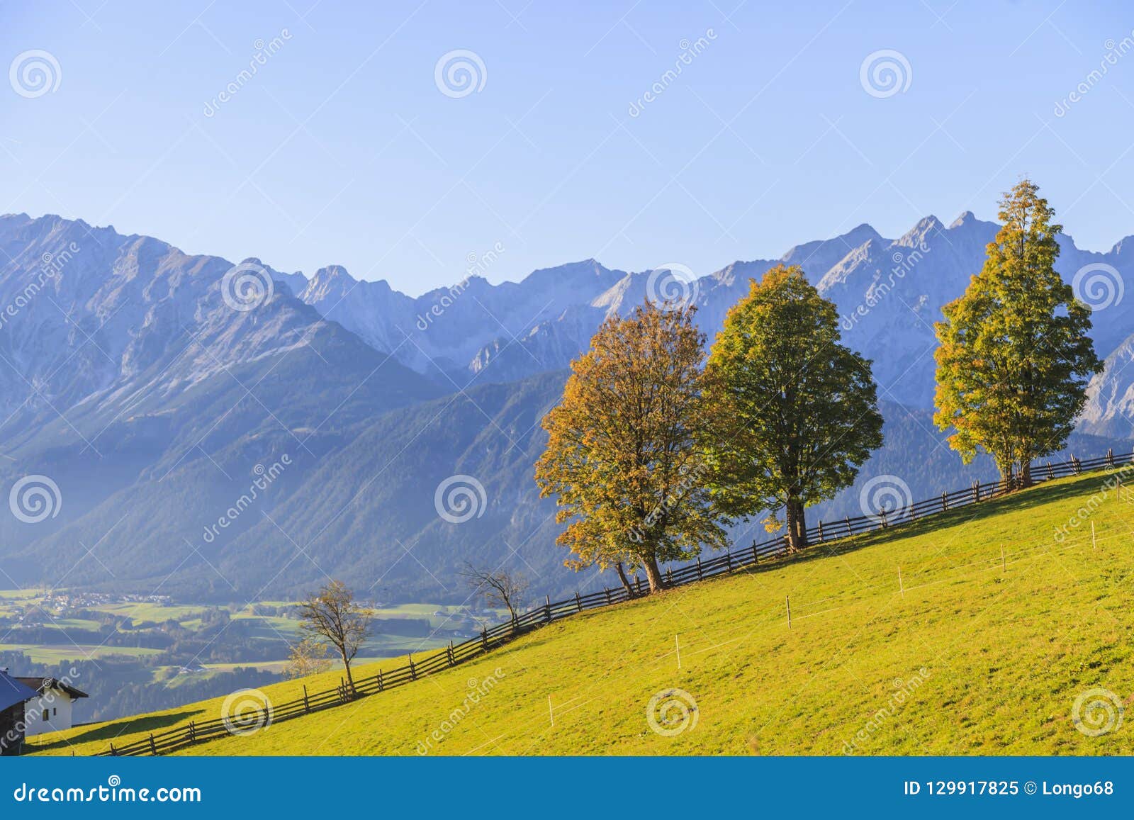 Alp meadow with some trees stock image. Image of weerberg - 129917825
