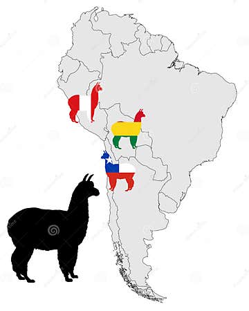 Alpaca range map stock vector. Illustration of gray, alpaca - 21446086