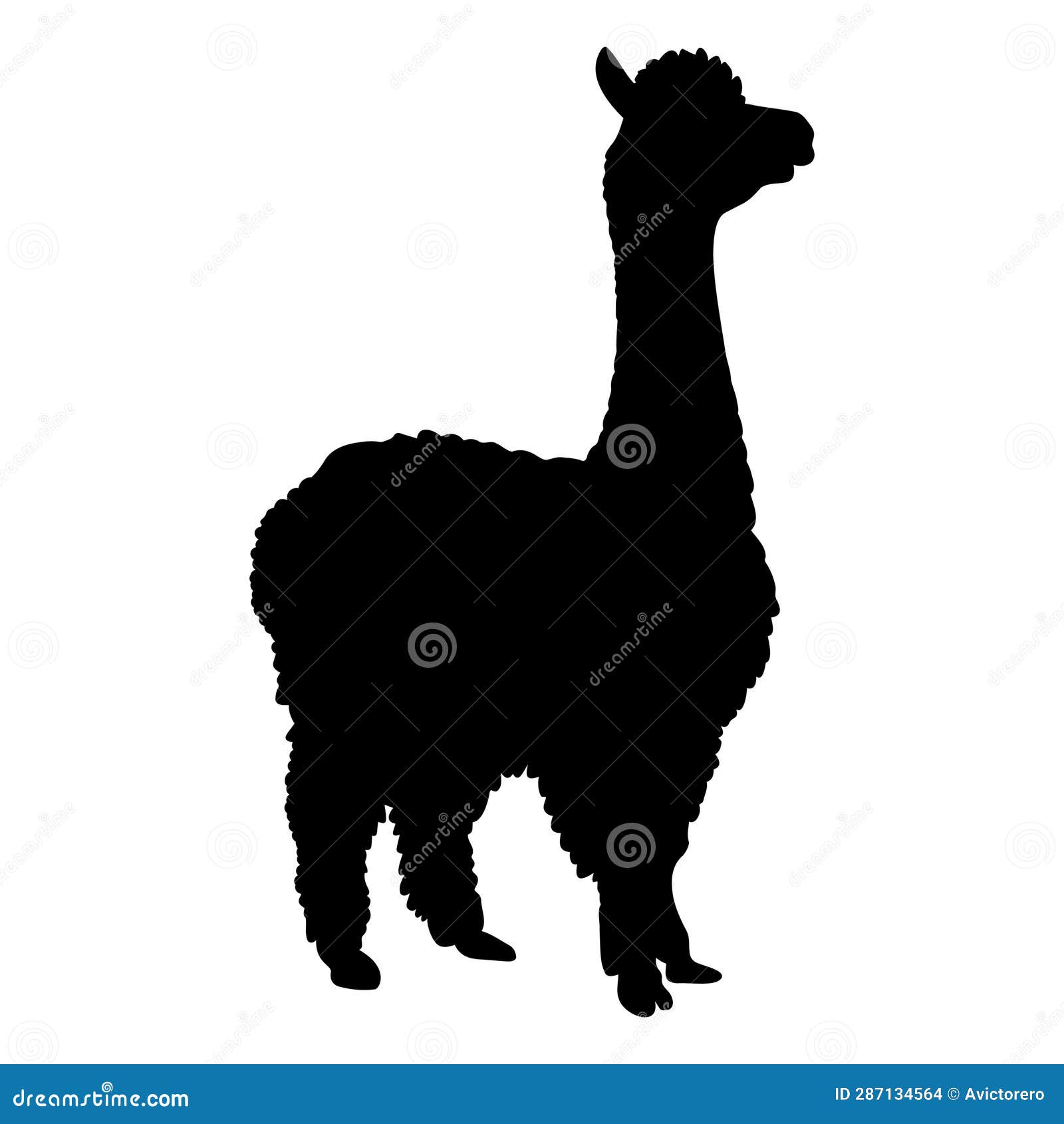 Alpaca Silhouette Icon Symbol Stock Vector - Illustration of isolated ...