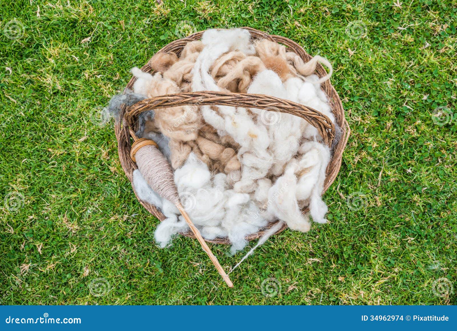 Alpaca Wool Peruvian Andes Cuzco Peru Stock Photo - Image of landmark ...