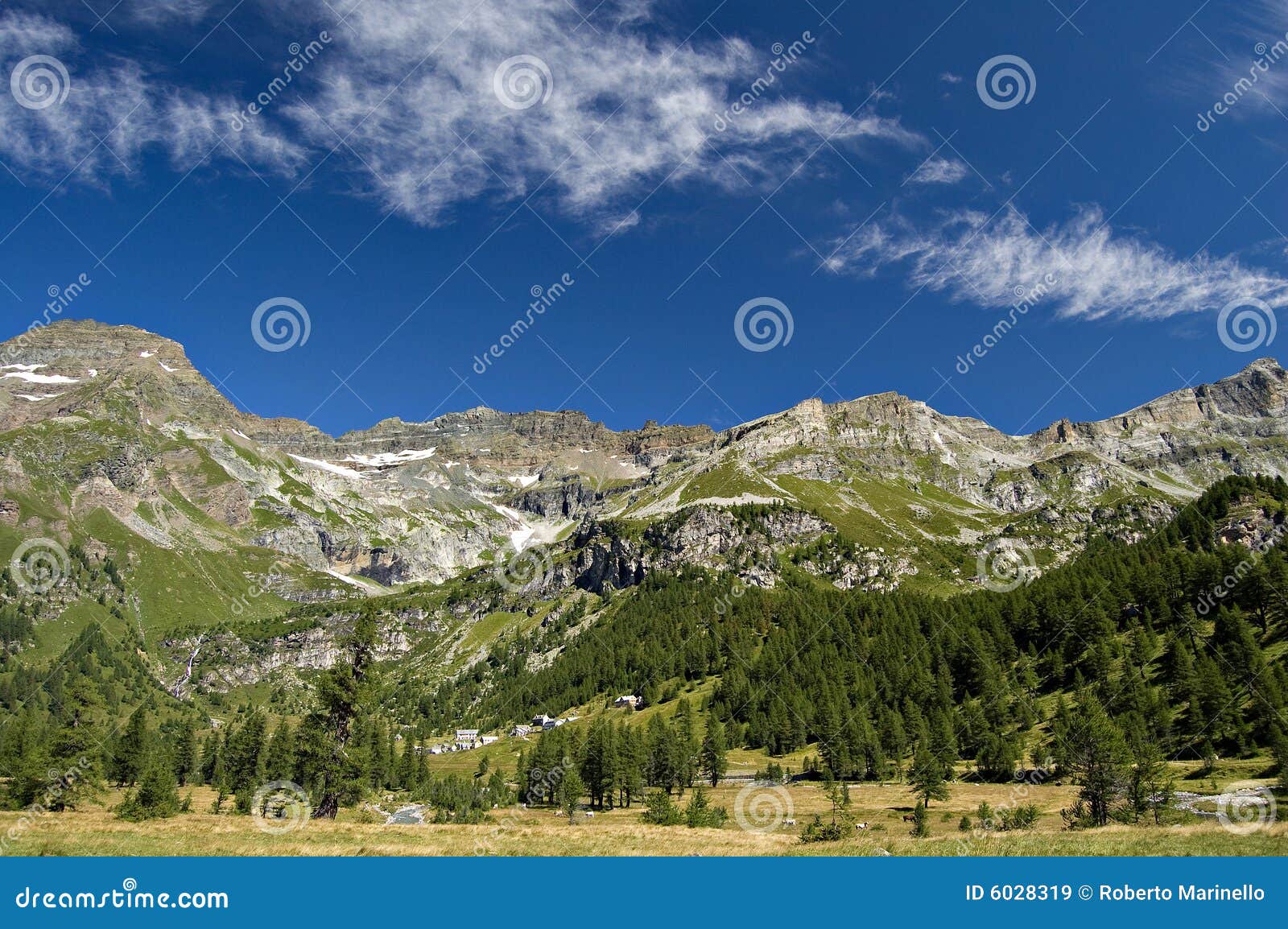 Alpe Veglia natural park stock image. Image of clean, larch - 6028319