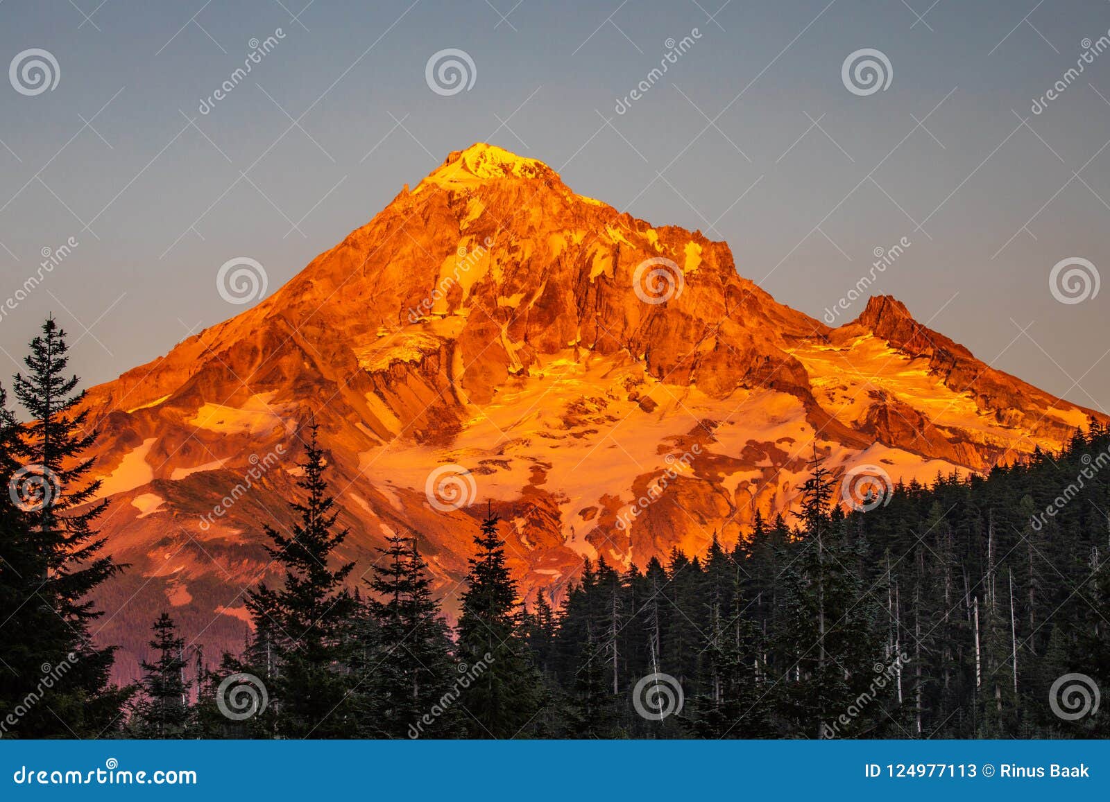 Alpenglow stock image. Image of alpenglow, sunset, forest - 124977113