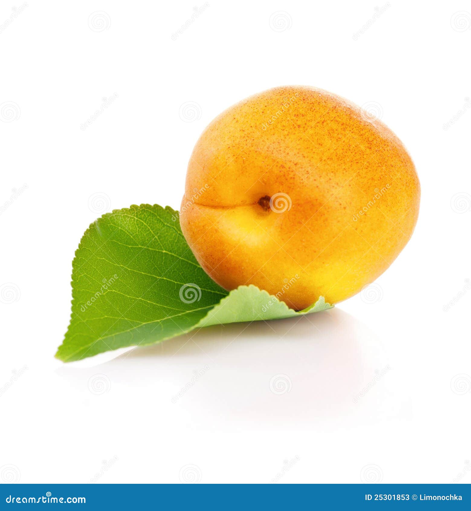 Alperce com folha imagem de stock. Imagem de doce, gourmet - 25301853