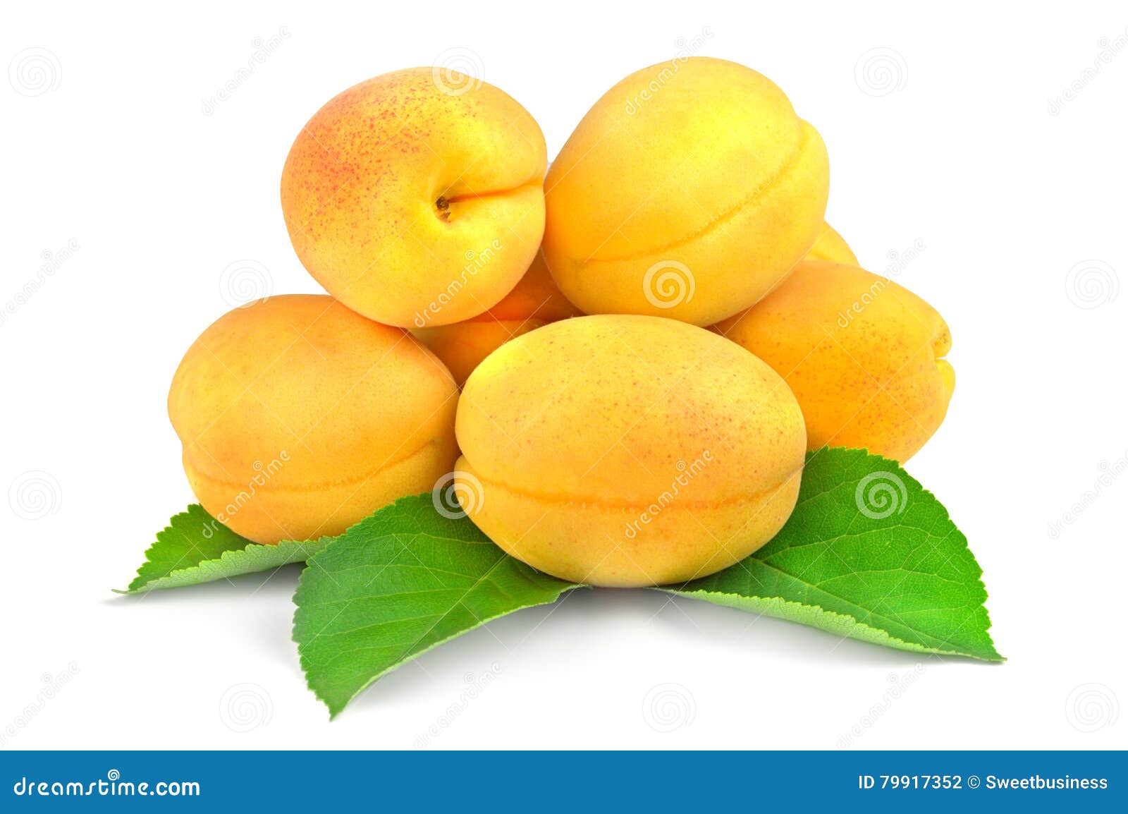 Alperce Grupo De Fruto Isolado No Branco Foto de Stock - Imagem de ...