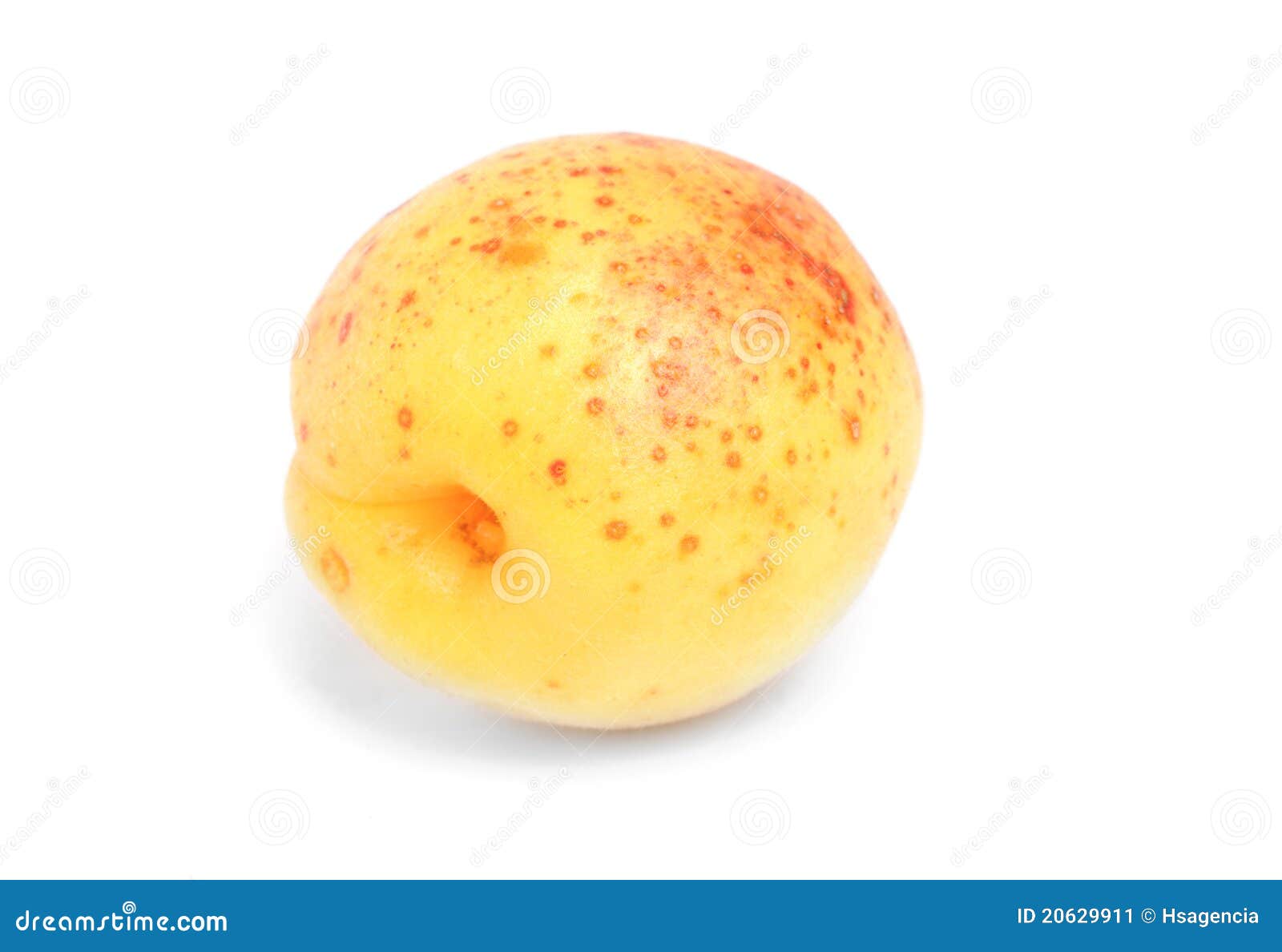 Alperce isolado no branco imagem de stock. Imagem de nave - 20629911