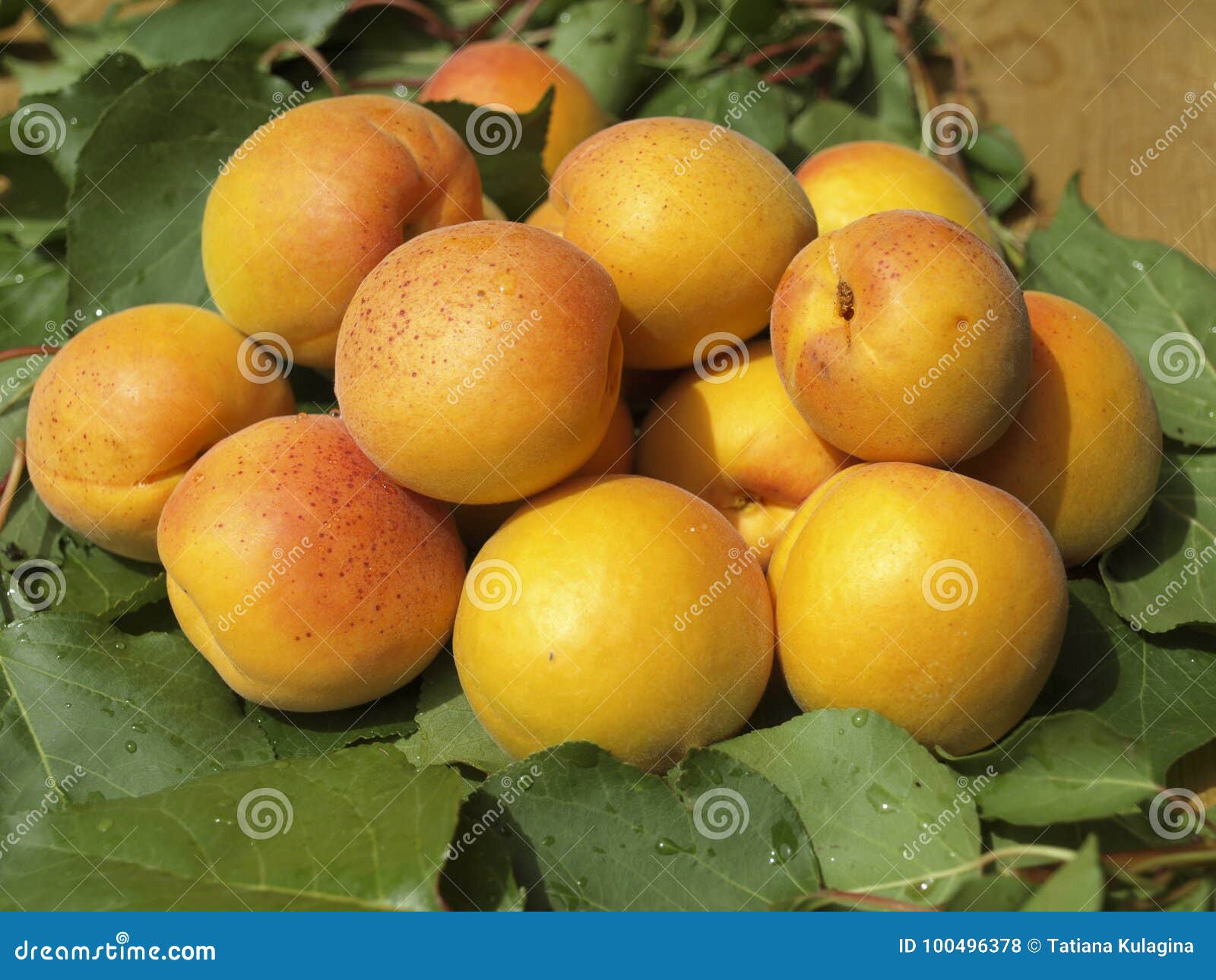 Alperces foto de stock. Imagem de alperce, refrescamento - 100496378