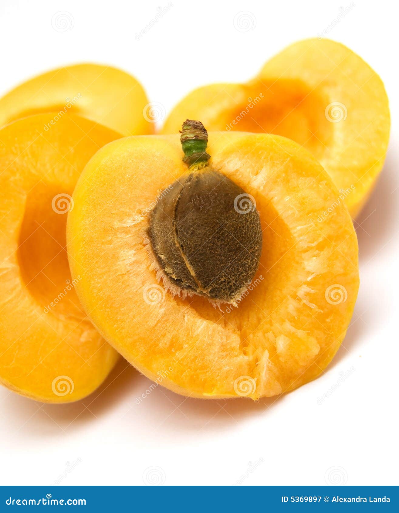 Alperces imagem de stock. Imagem de planta, delicioso - 5369897