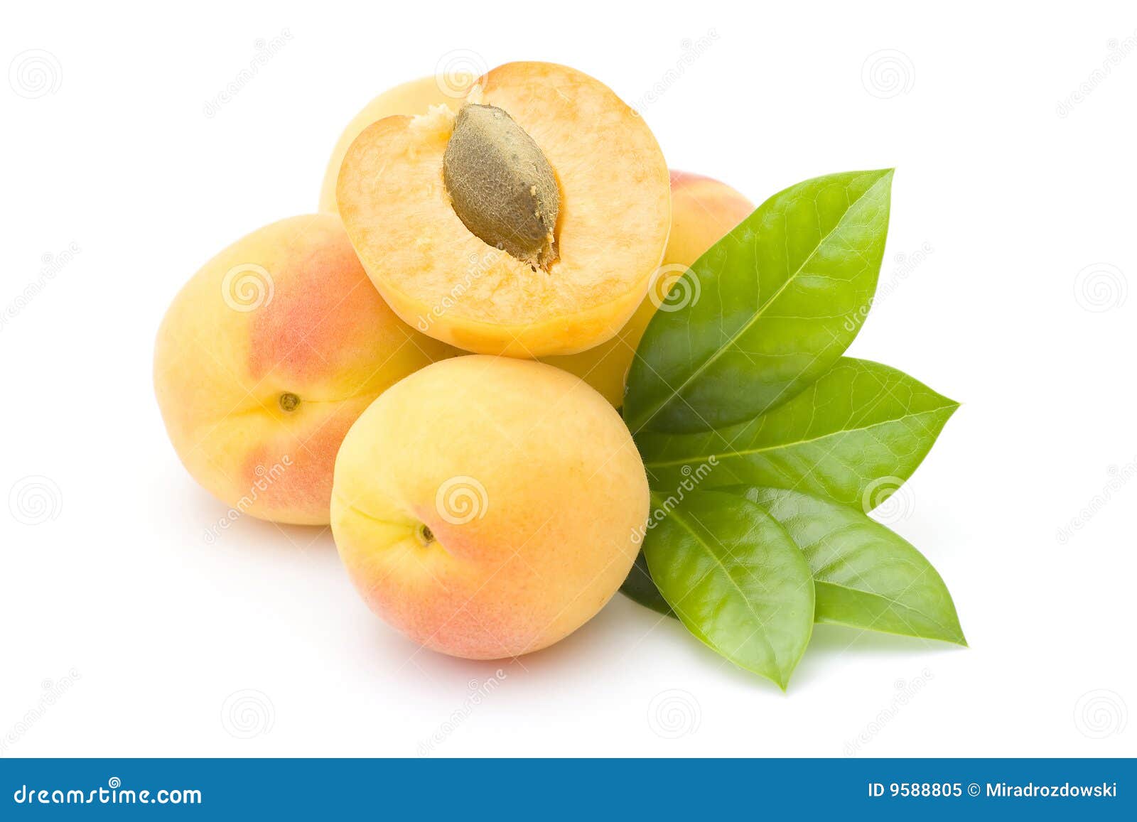 Alperces imagem de stock. Imagem de isolado, haste, fruta - 9588805