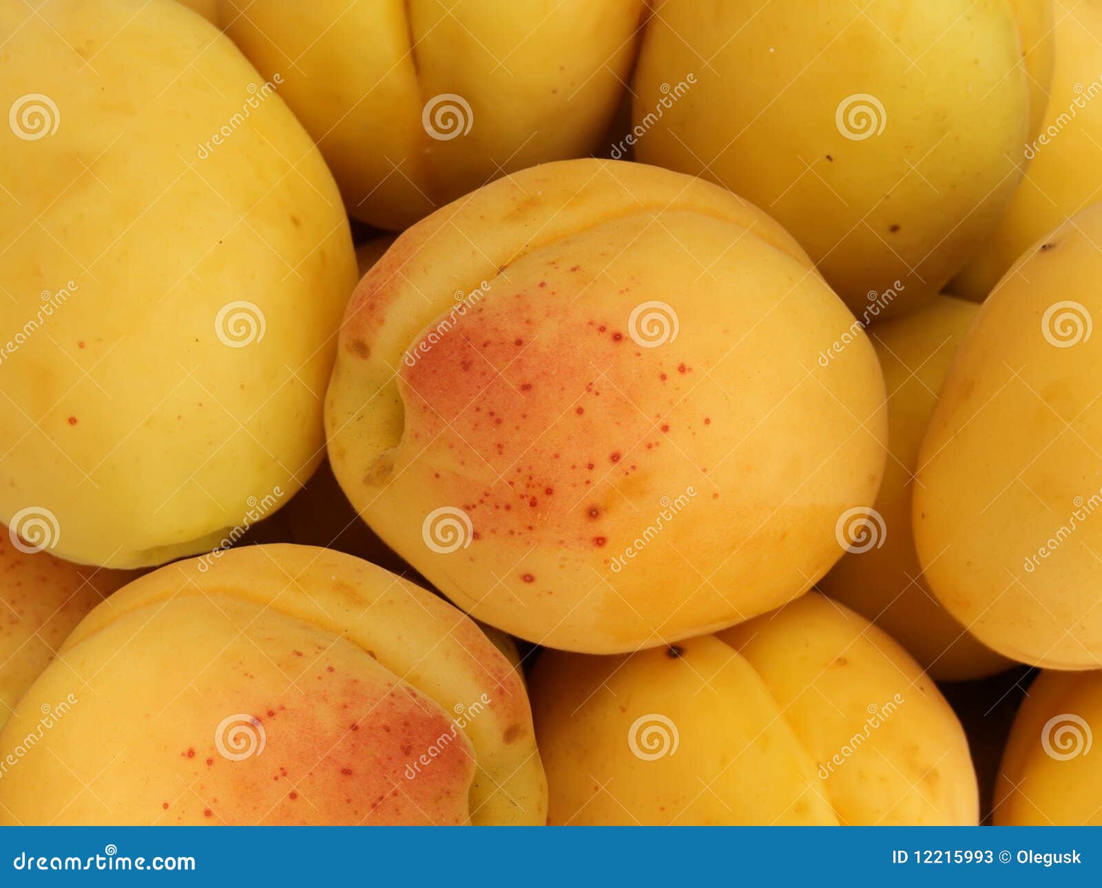 Alperces da fruta imagem de stock. Imagem de flora, alperces - 12215993