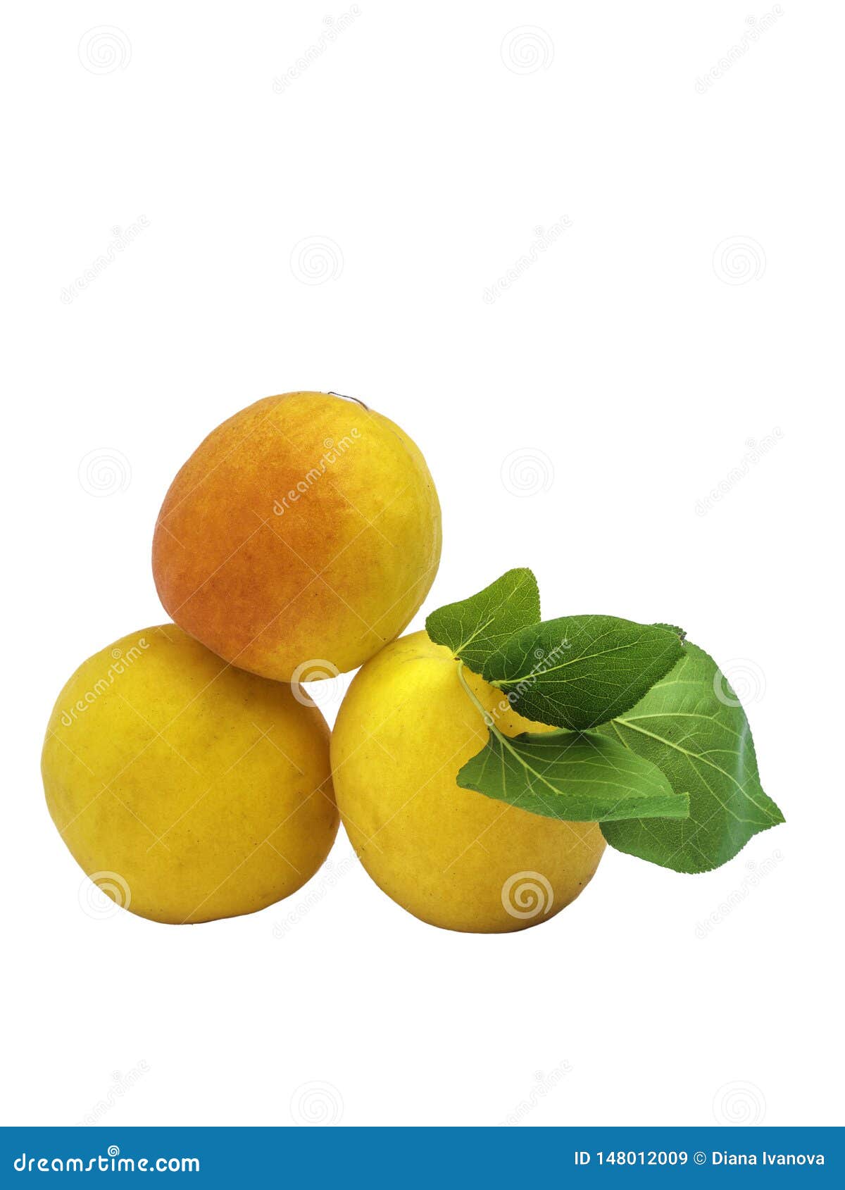Alperces Isolados No Branco Imagem de Stock - Imagem de amarelo, doce ...