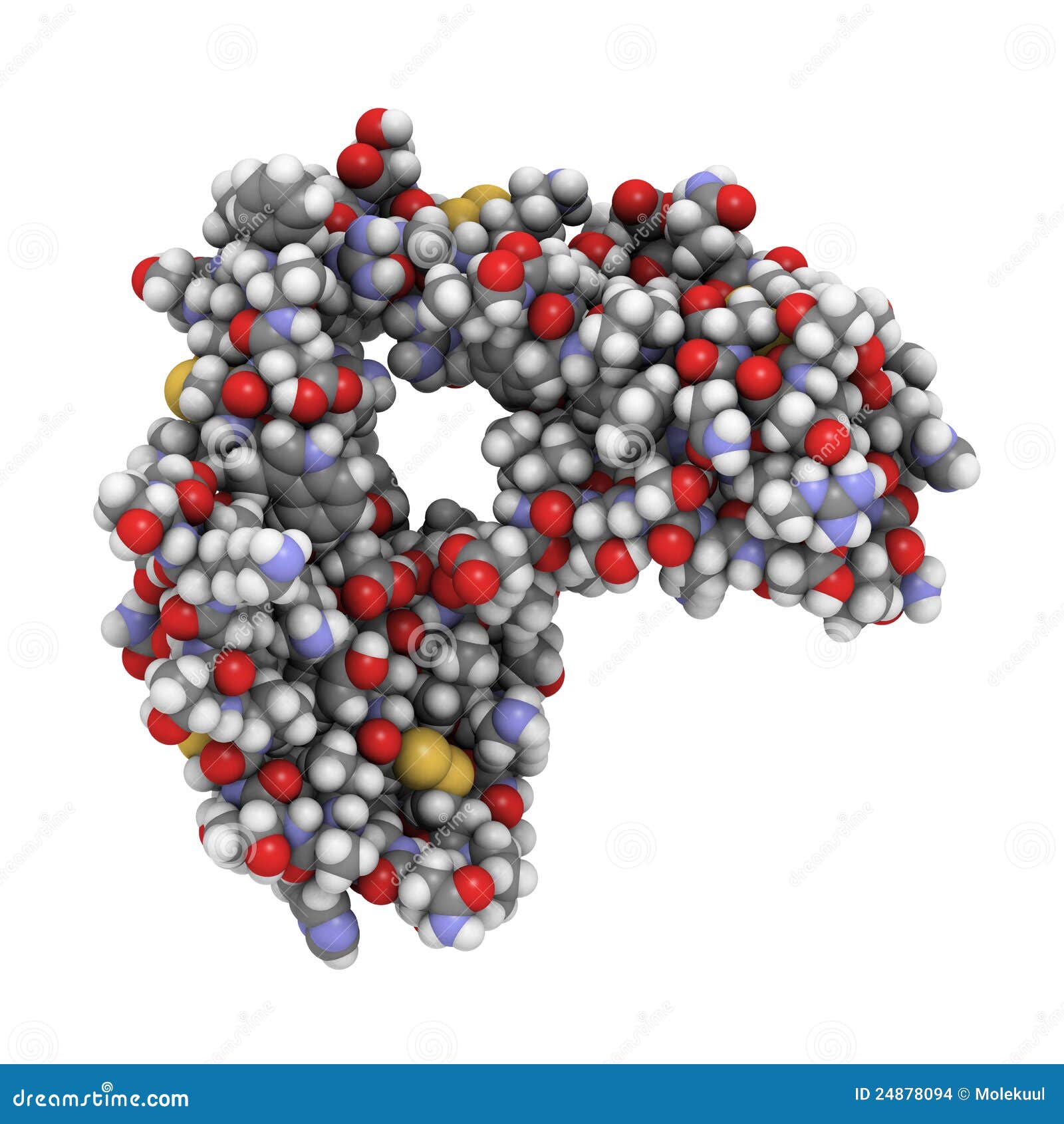 Alpha-cobratoxin Molecule of Naja Kaouthia Cobra. Stock Illustration ...