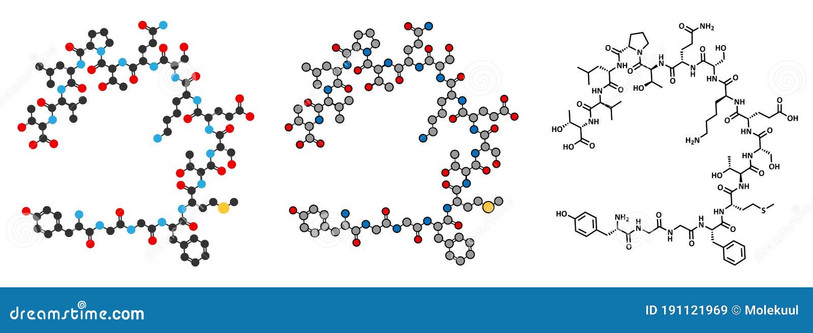 Alpha-endorphin Endogenous Opioid Peptide Molecule. Skeletal Formula ...