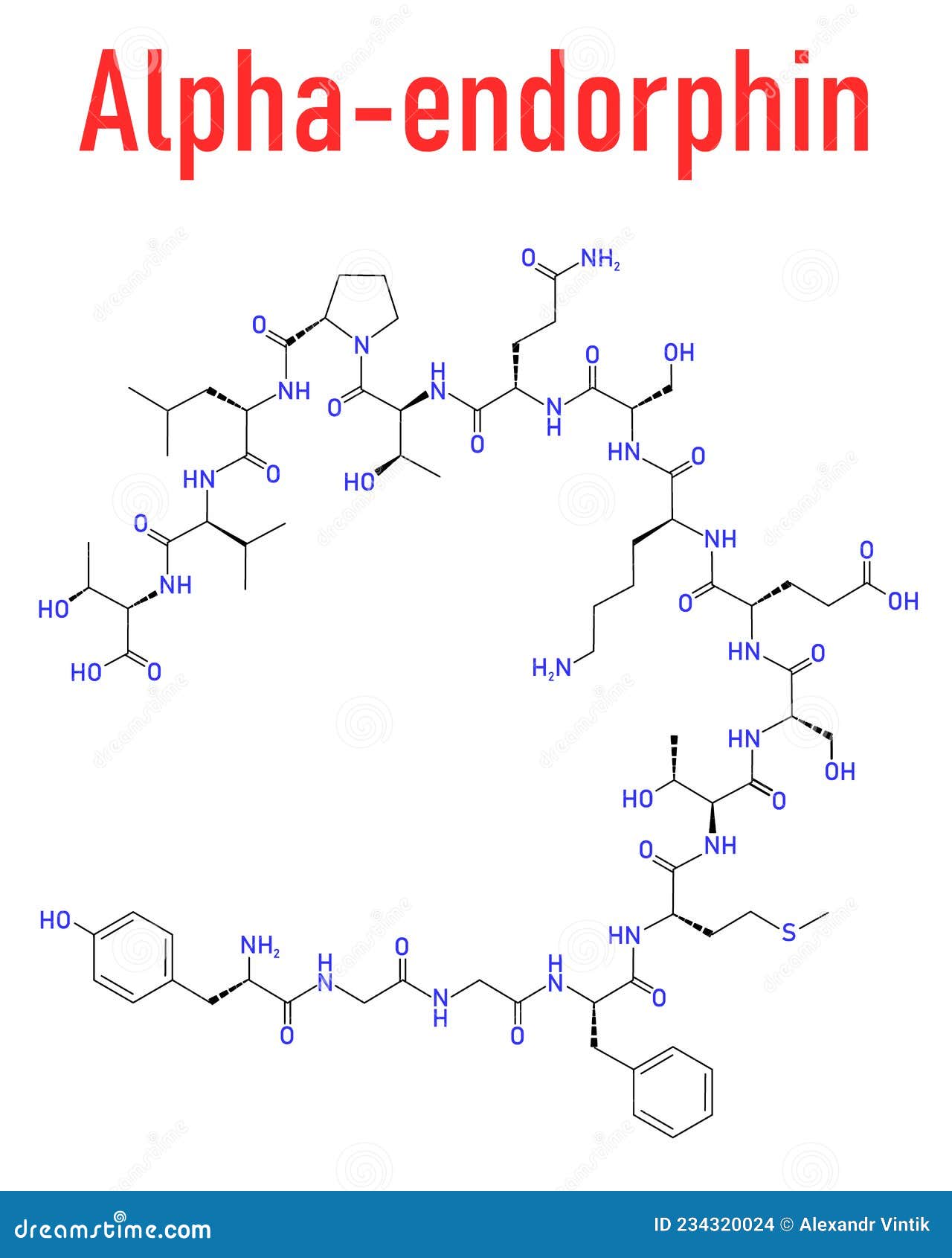 Alpha-endorphin Endogenous Opioid Peptide Molecule. Skeletal Formula ...