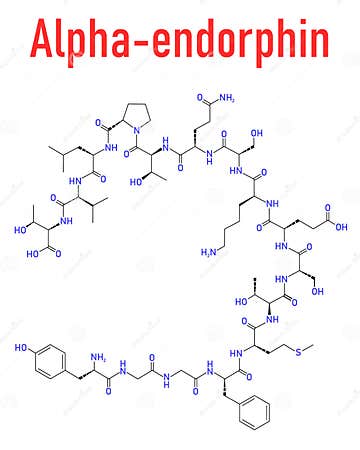 Alpha-endorphin Endogenous Opioid Peptide Molecule. Skeletal Formula ...