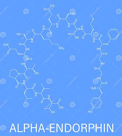 Alpha-endorphin Molecule. Skeletal Formula. Stock Vector - Illustration ...