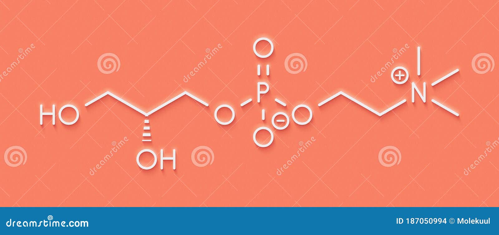 Alpha-GPC (L-Alpha Glycerylphosphorylcholine, Choline Alfoscerate ...