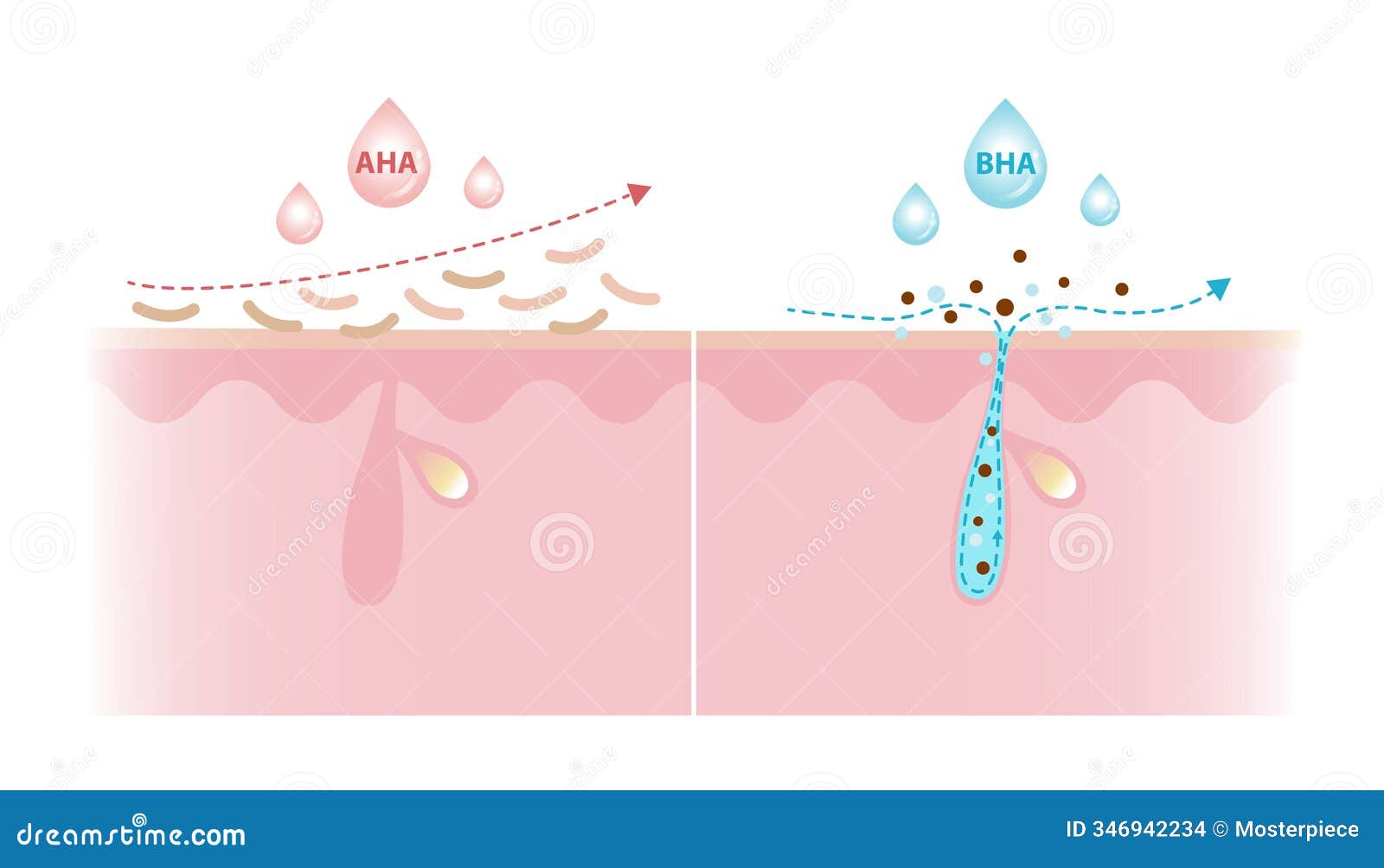 Alpha Hydroxy Acids, AHA. Glycolic C2H4O3, Lactic C3H6O3, Malic C4H6O5 ...