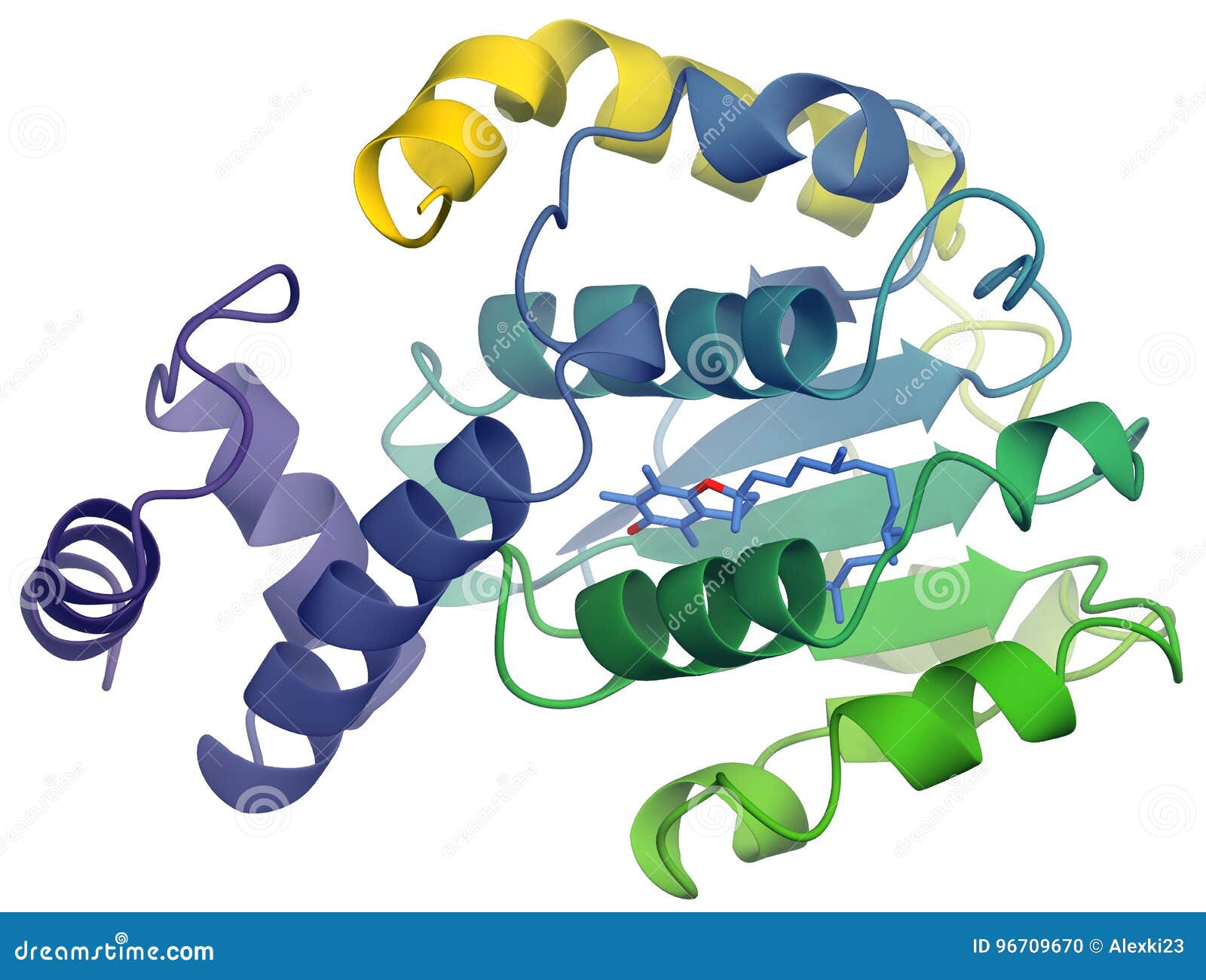 Alpha-Tocopherol Transfer Protein Stock Illustration - Illustration of ...