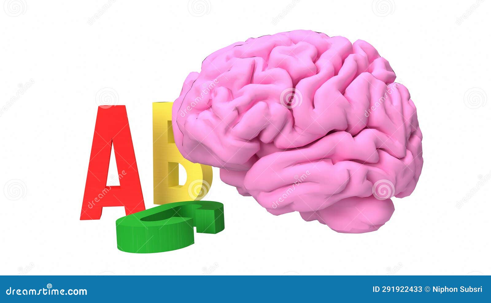 The Alphabet and Brain for Education or Sci Concept 3d Rendering Stock ...