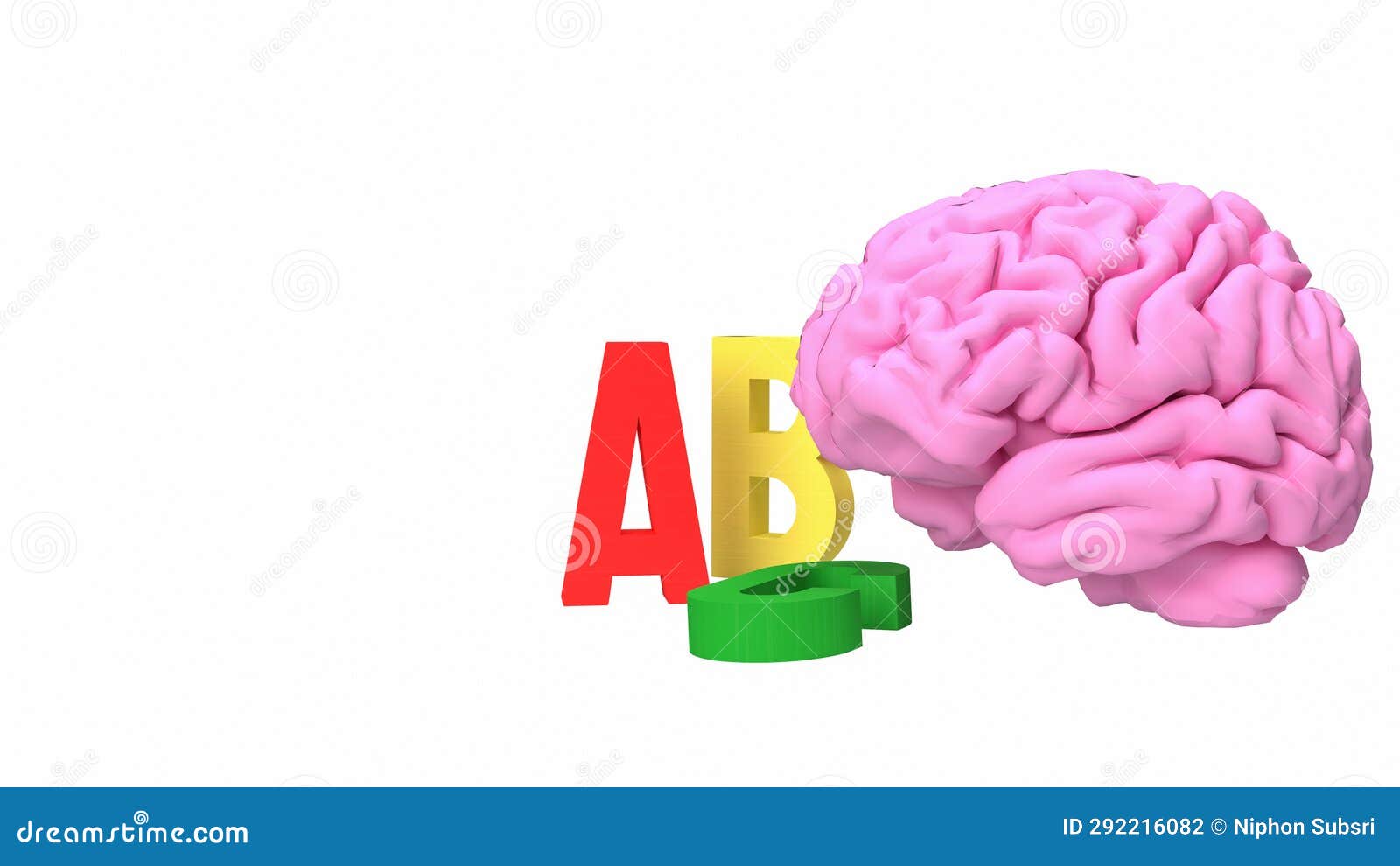 The Alphabet and Brain for Education or Sci Concept 3d Rendering Stock ...