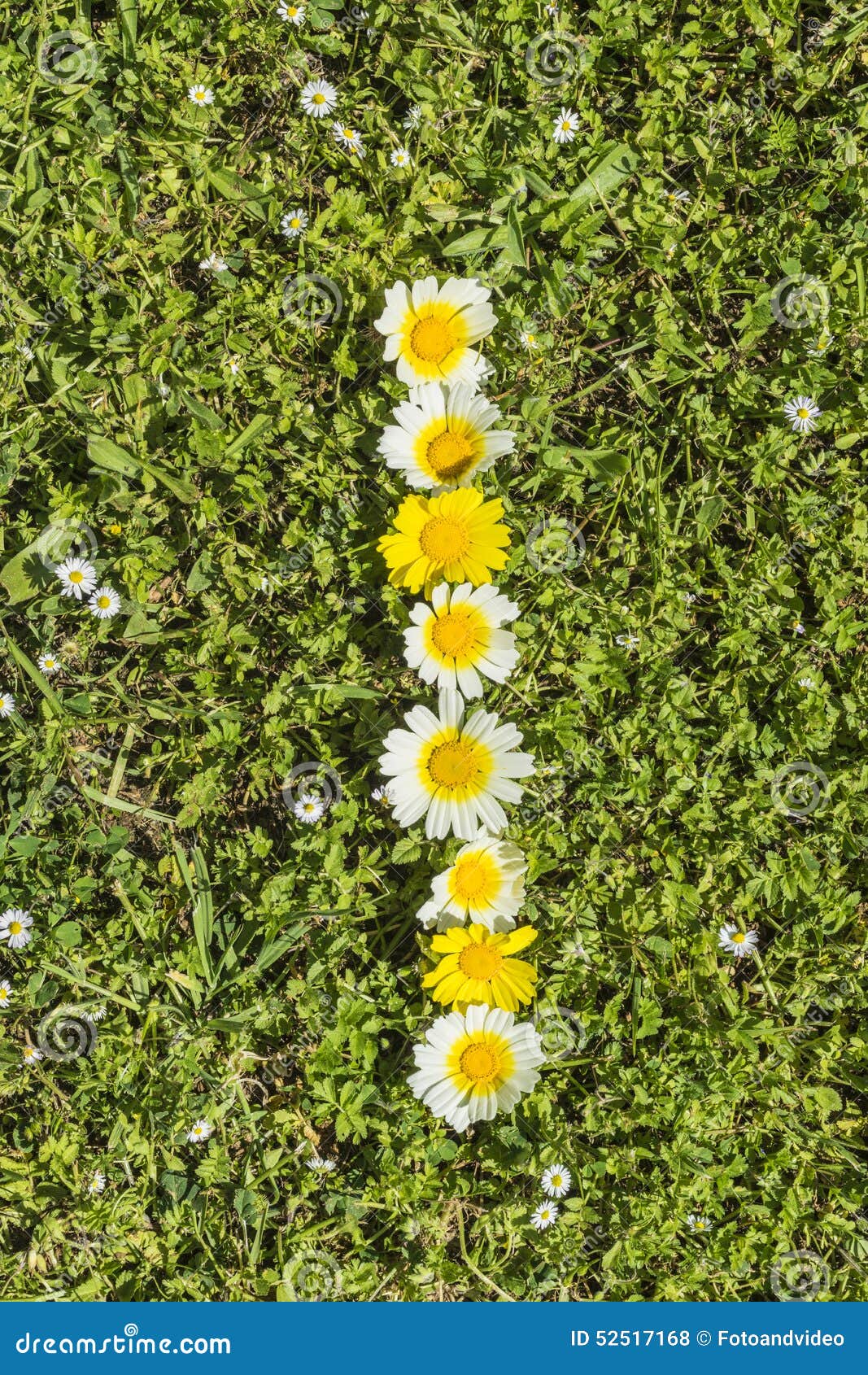 Alphabet De Fleur De La Lettre I Photo stock - Image du nature, bloc ...