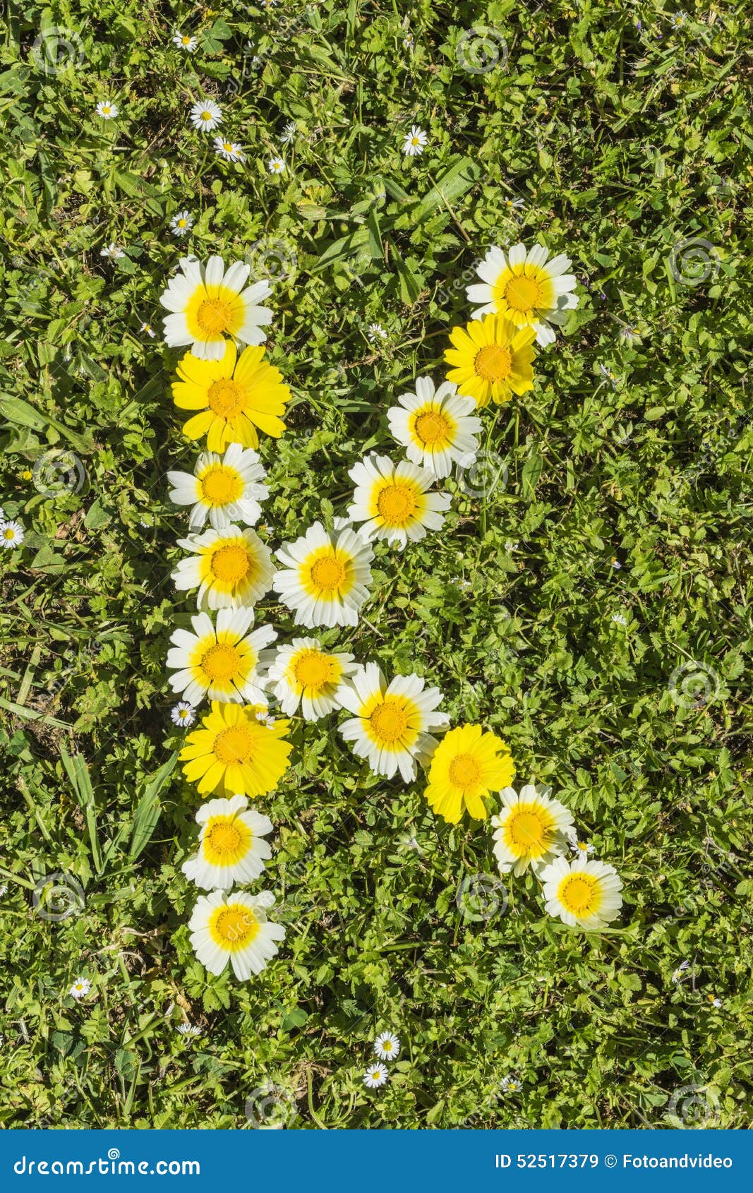 Alphabet De Fleur De La Lettre K Image stock - Image du mère ...
