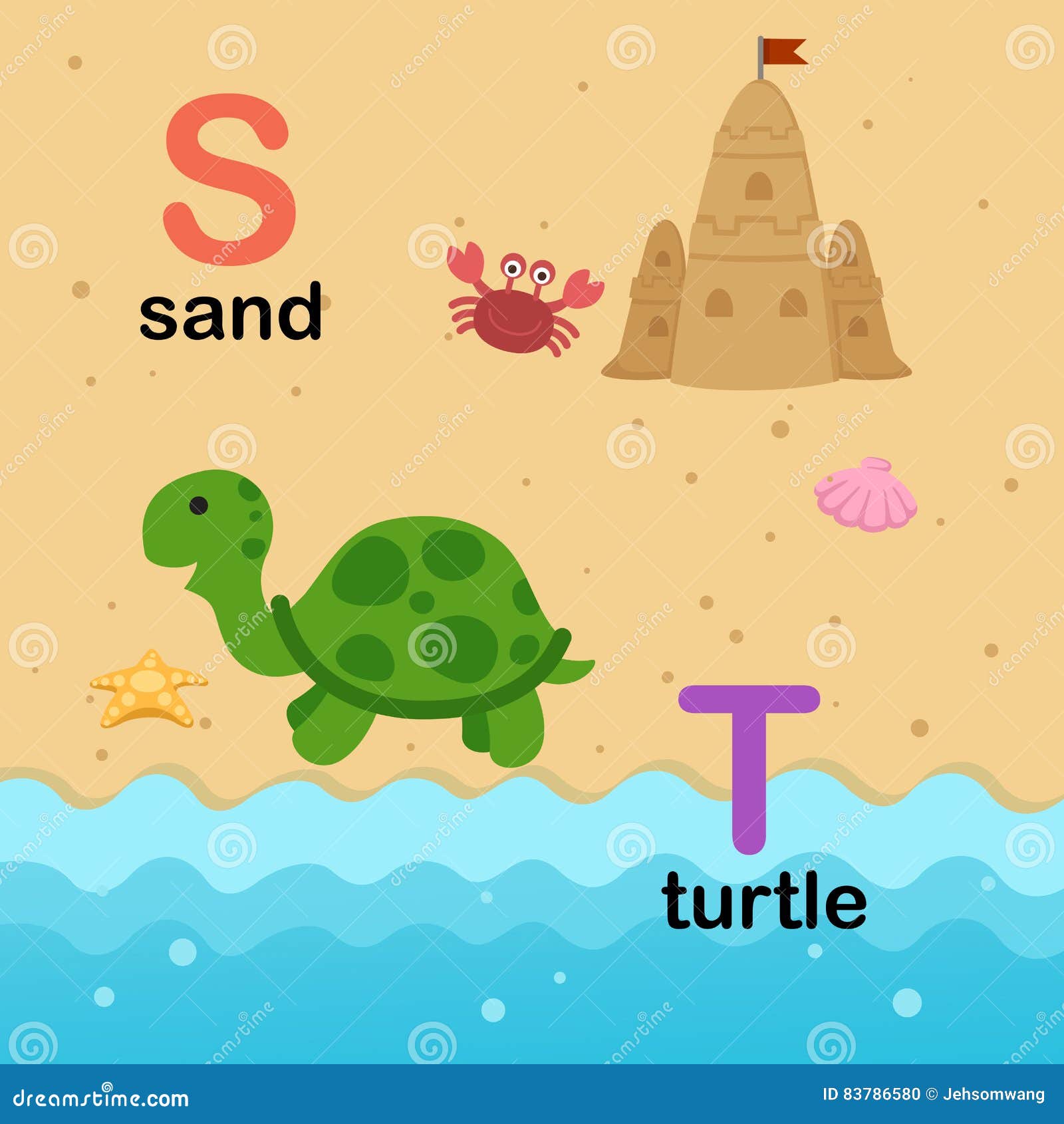 Letter T Turtle Zoo Alphabet. English Abc With Animals Education Cards ...