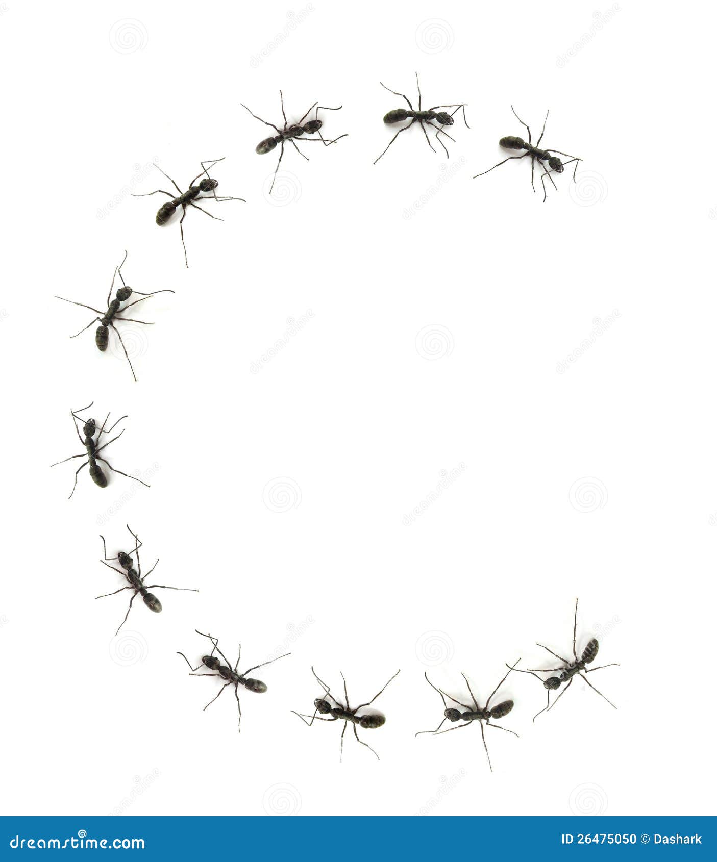 Alphabet Letters Spelled by an Stock Photo - Image of letter, pest ...