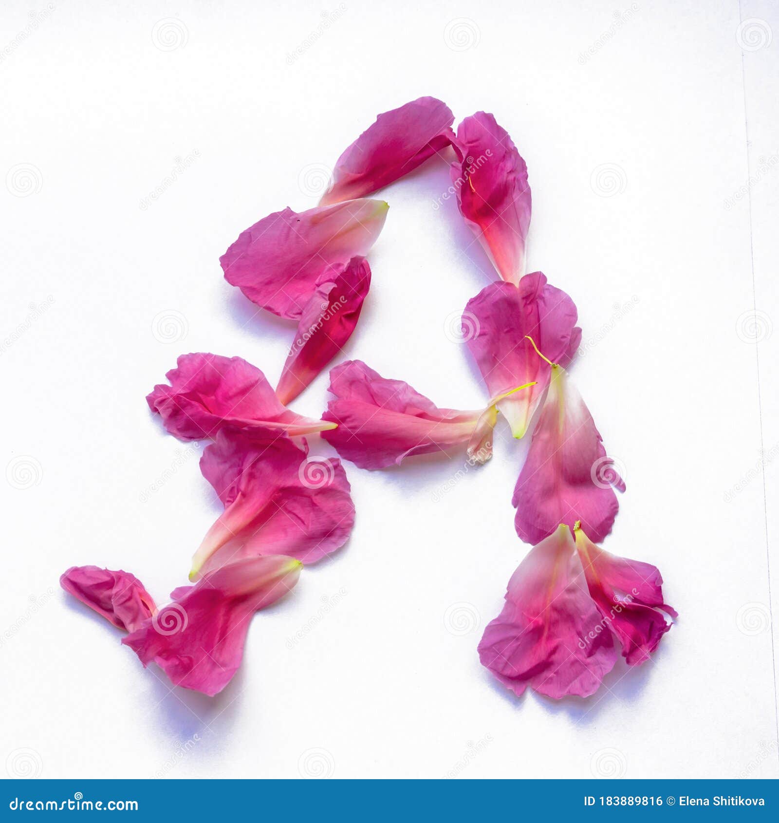 Alphabet Made of Peony Petals. Letter a, Layout for Design Stock Photo ...