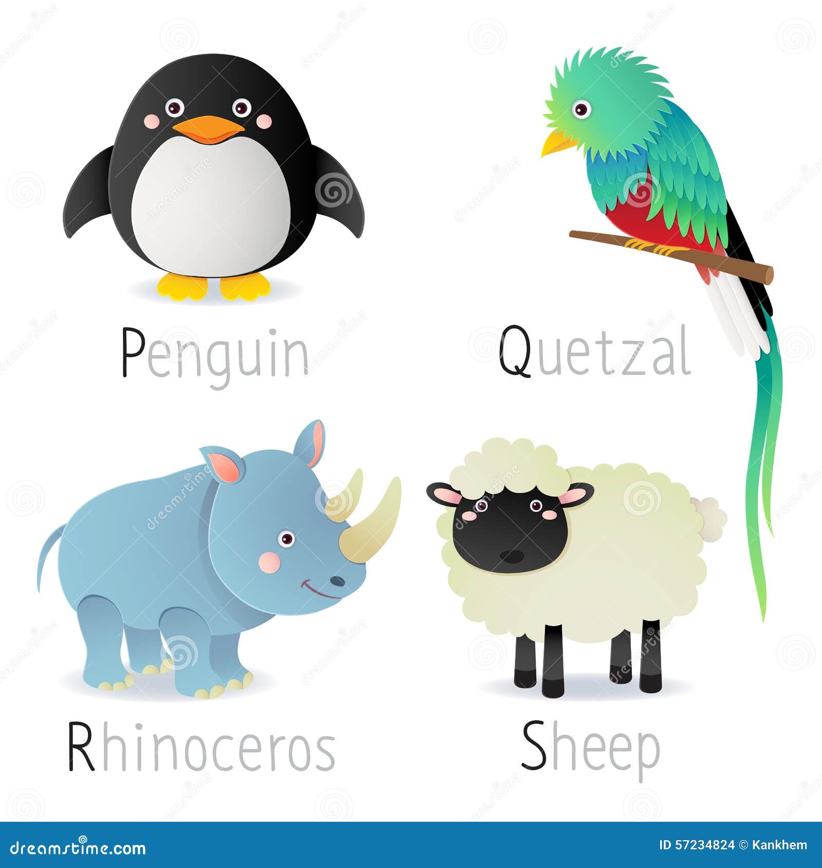 Alphabet Mit Tieren Von P Zu S Stellte 2 Ein Vektor Abbildung ...