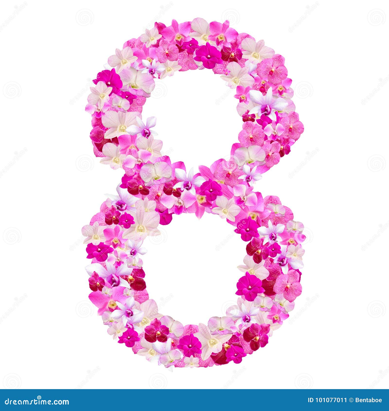 Alphabet Number Eight from Orchid Flowers Isolated on White Stock Image ...