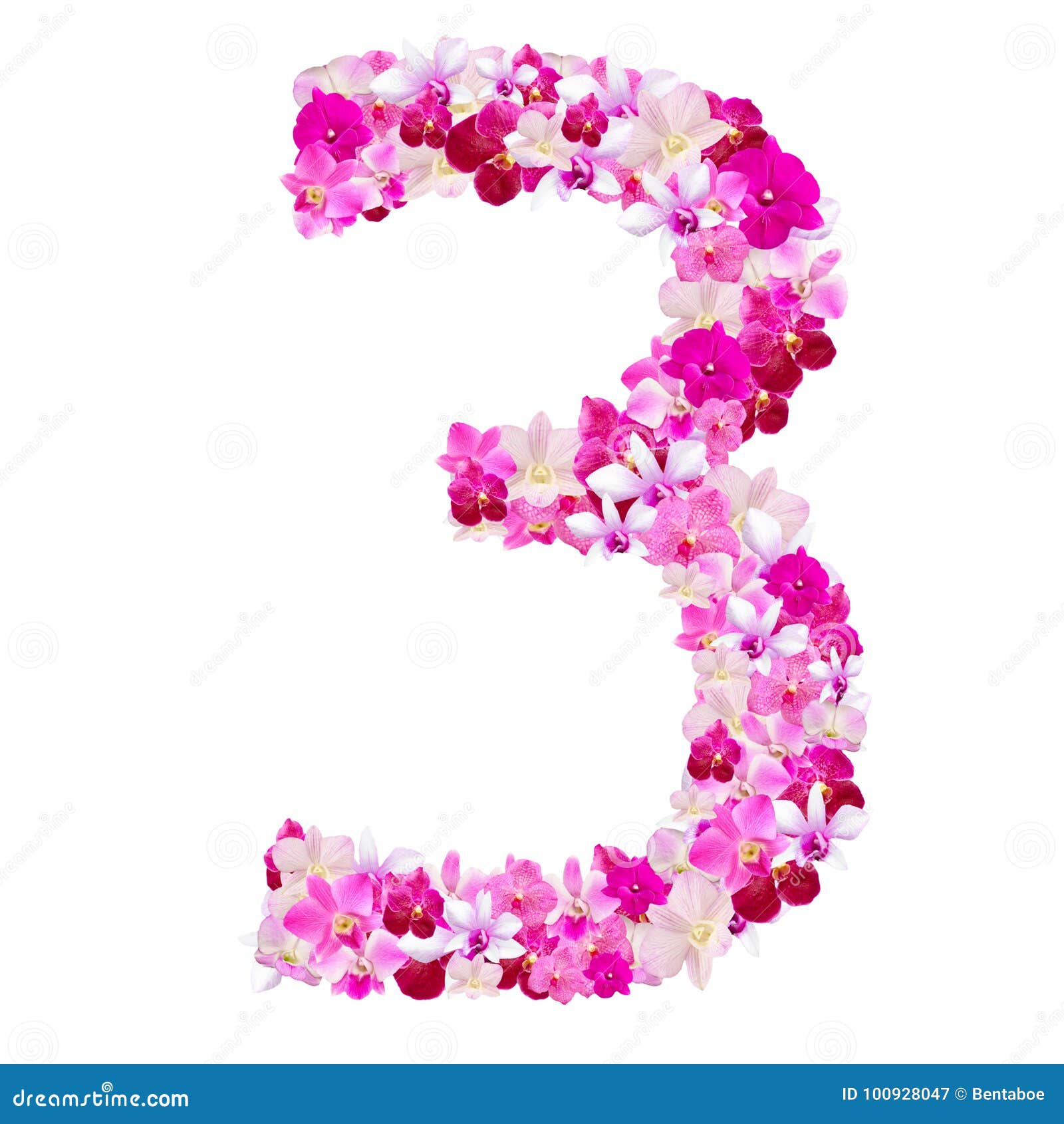 Alphabet Number Three from Orchid Flowers Isolated on White Stock Image ...