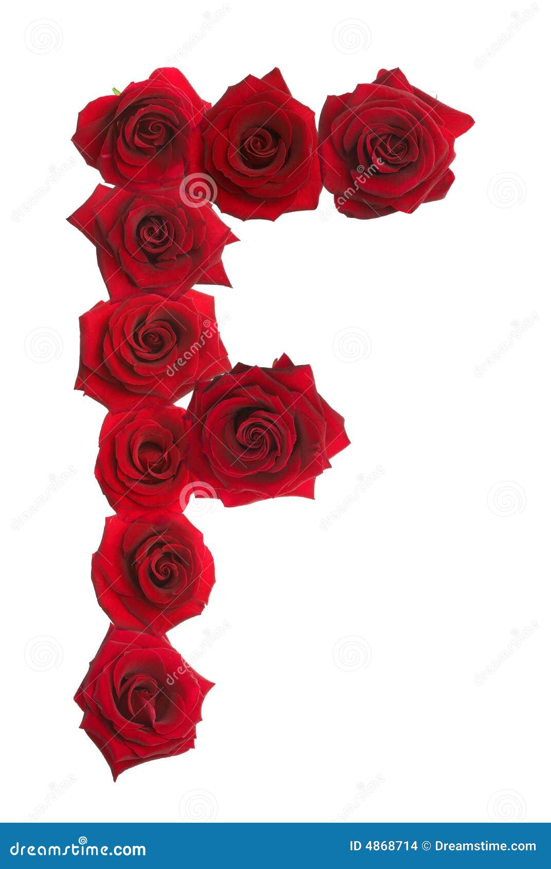 Alphabet Series Roses Letter F Stock Photo - Image of background ...