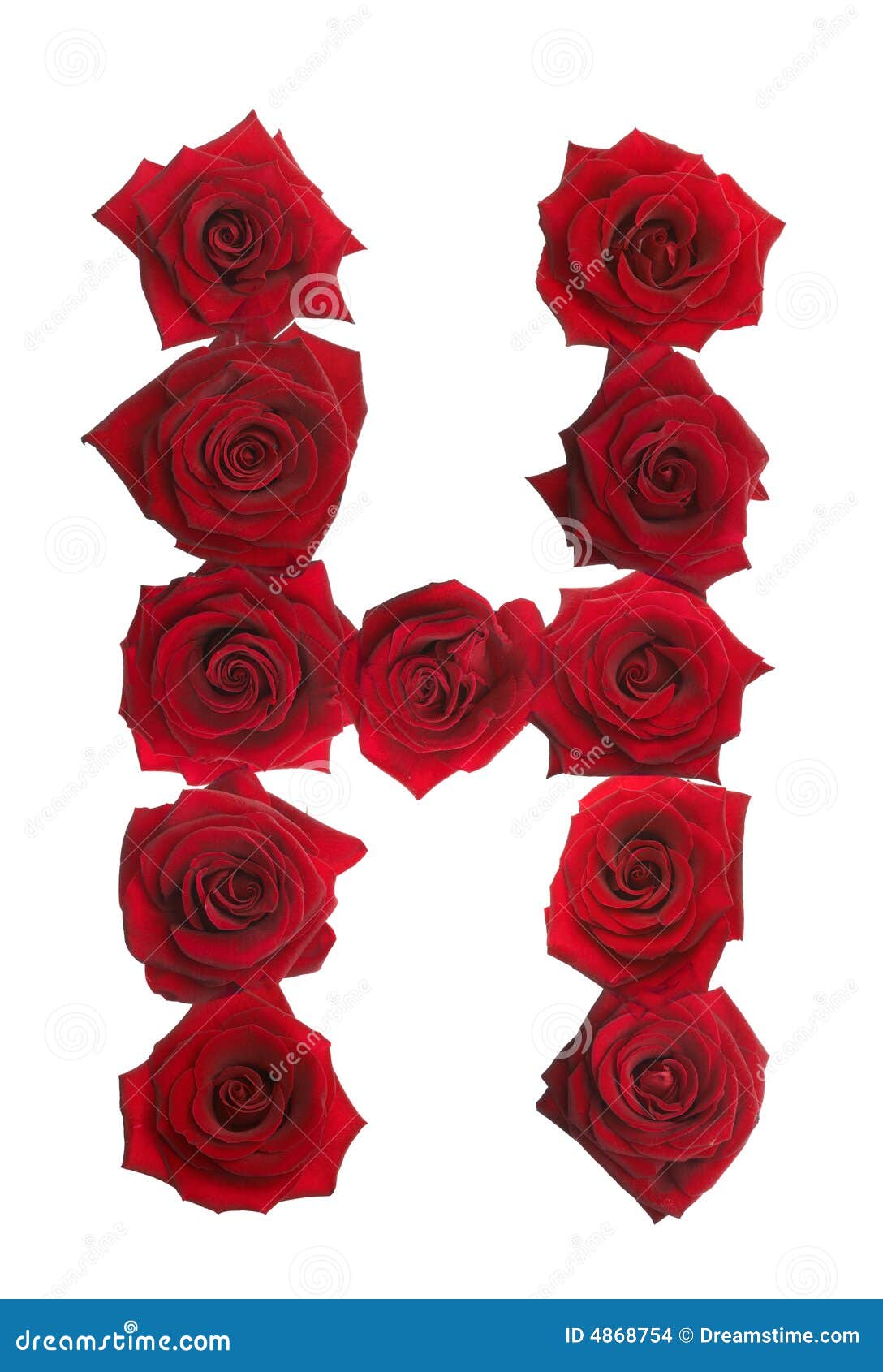 Alphabet Series Roses Letter H Stock Photo - Image of valentine, rose ...