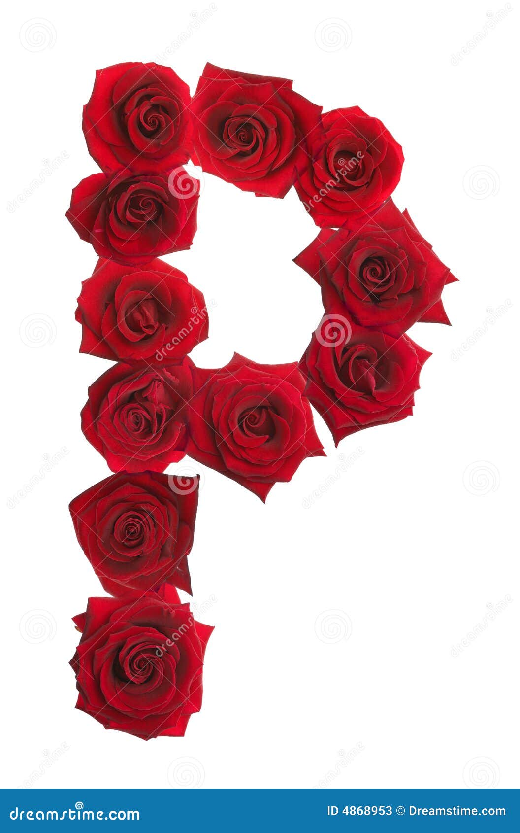 Alphabet Series Roses Letter P Stock Image - Image of text, anniversary ...