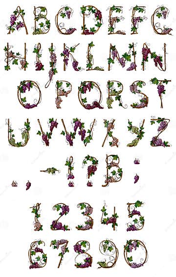 Alphabet vine stock illustration. Illustration of pink - 26960427