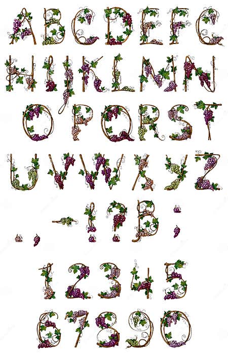 Alphabet vine stock illustration. Illustration of pink - 26960427