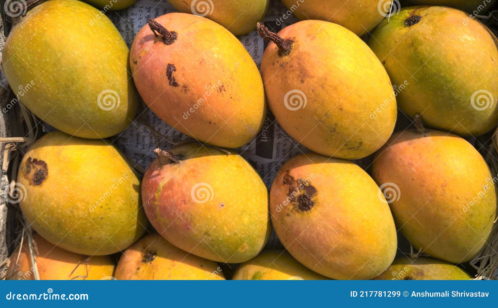 Alphonso Mango or Haapus Aamba Fruit Stock Image - Image of delicious ...