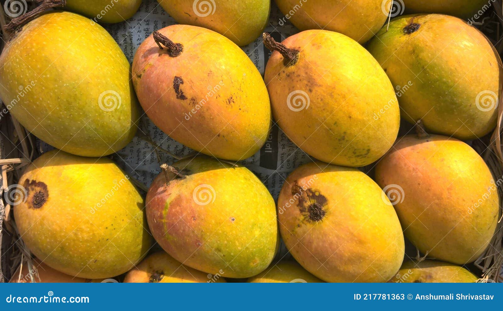 Alphonso Mango or Haapus Aamba Fruit Stock Image - Image of food ...