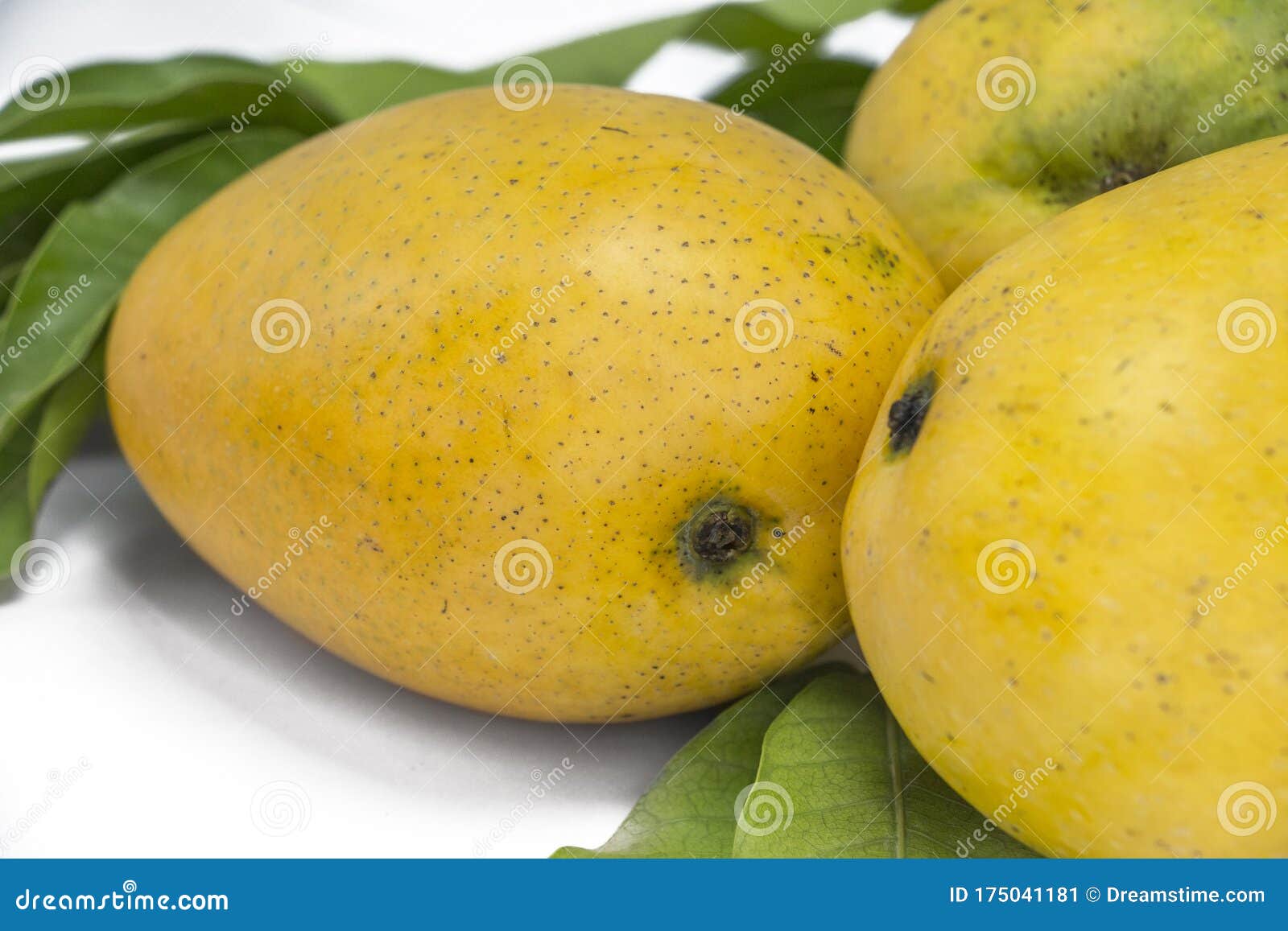 Alphonso Mango High Quality Image on White Background Stock Image ...