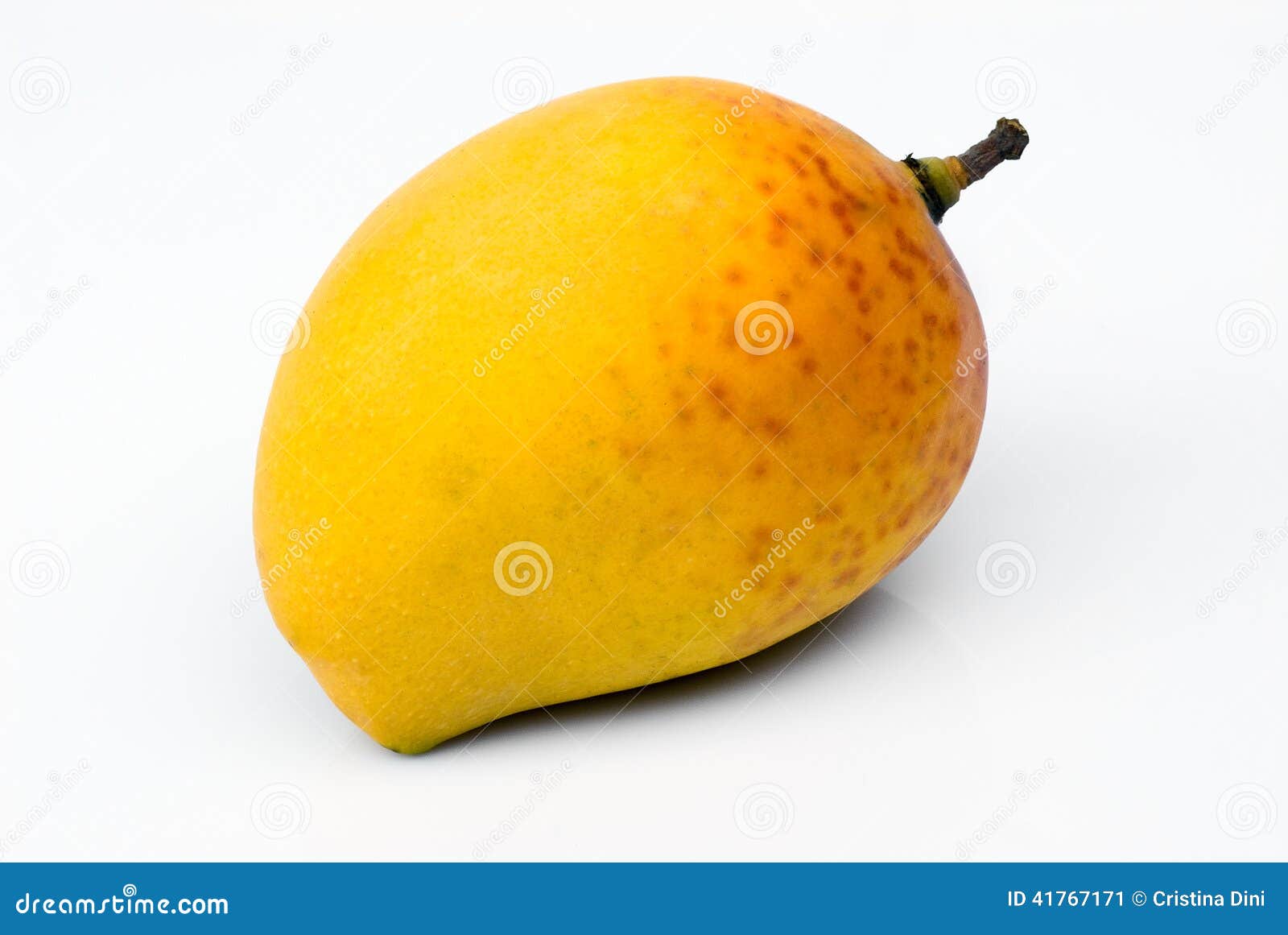 Alphonso Mango (Mangifera Indica) Stock Image - Image of sweet, kairi ...