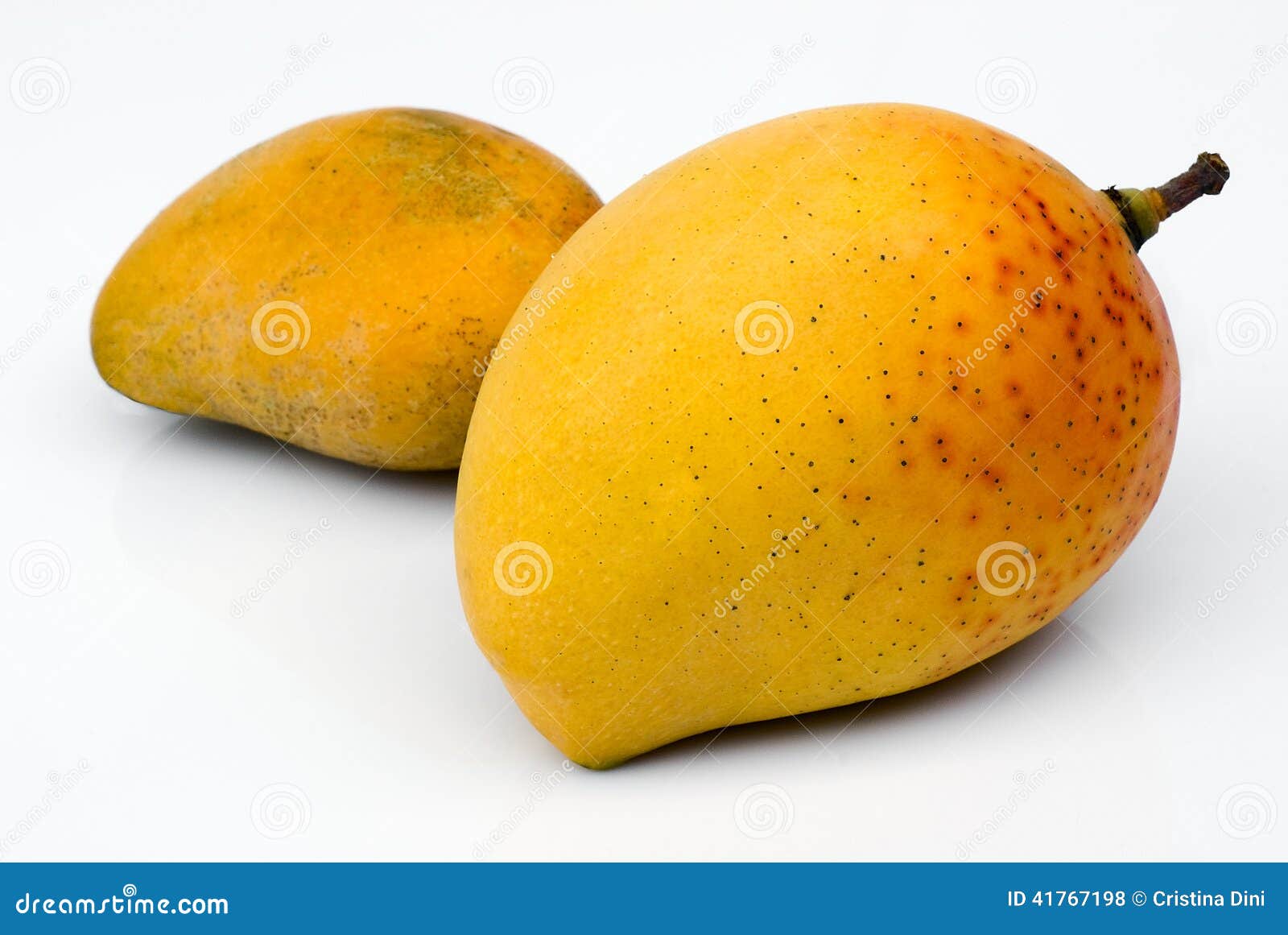 Alphonso Mango (Mangifera Indica) Stock Photo - Image of exotic, costly ...
