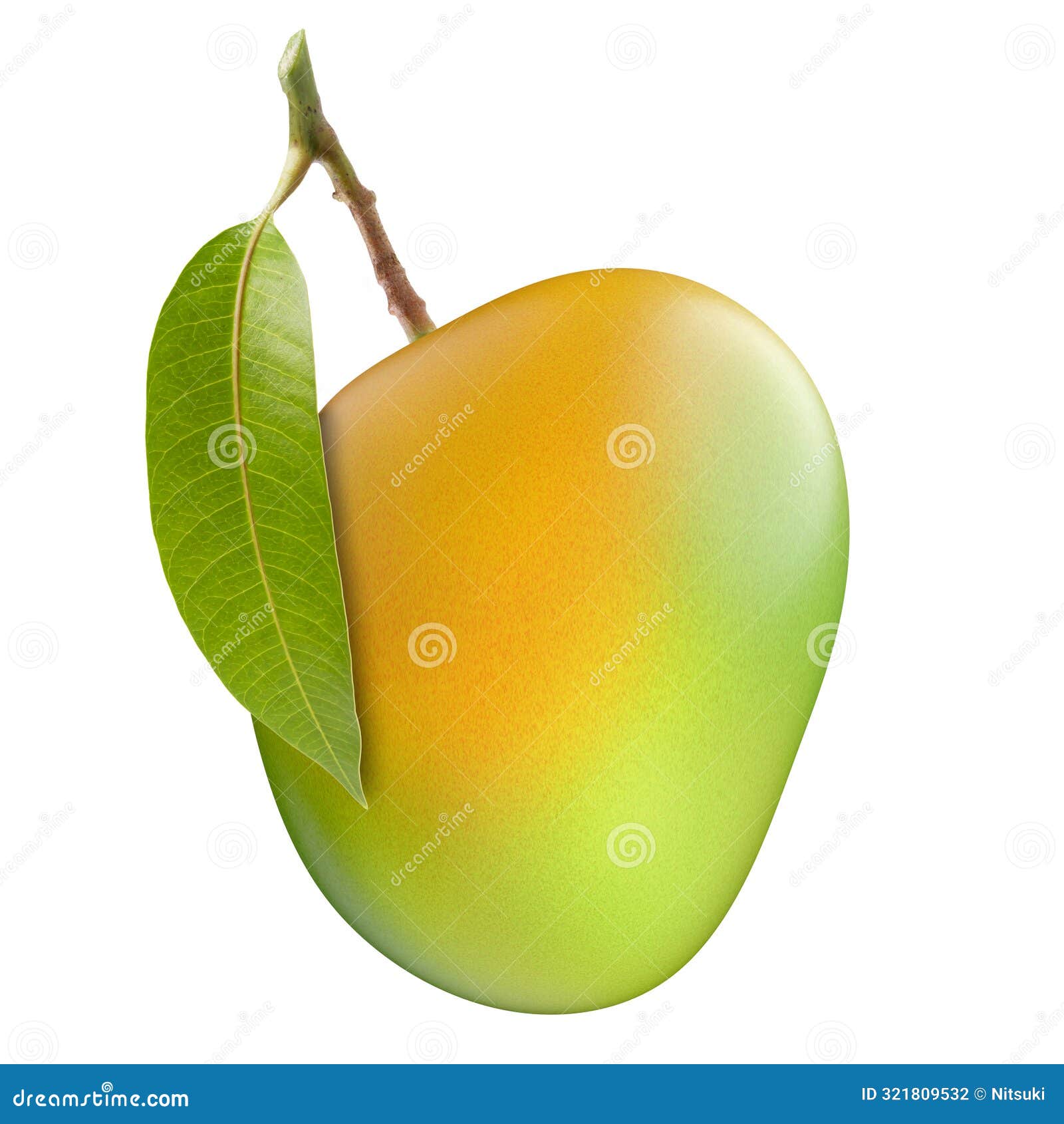 Alphonso Mango with Stem Isolated White Background Stock Photo - Image ...