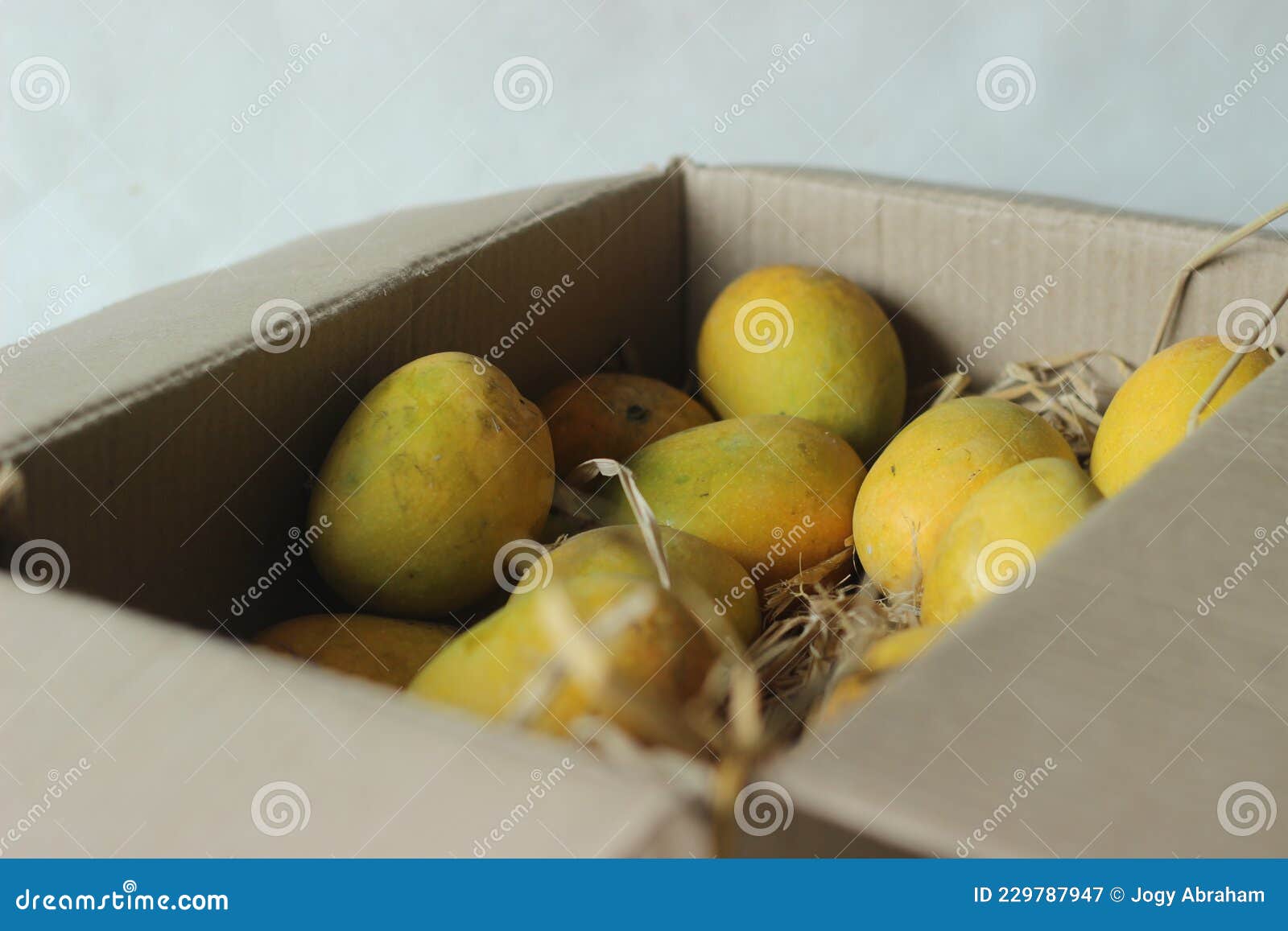 Alphonso Mangoes Kept on Hay, Inside the Packing Stock Image - Image of ...