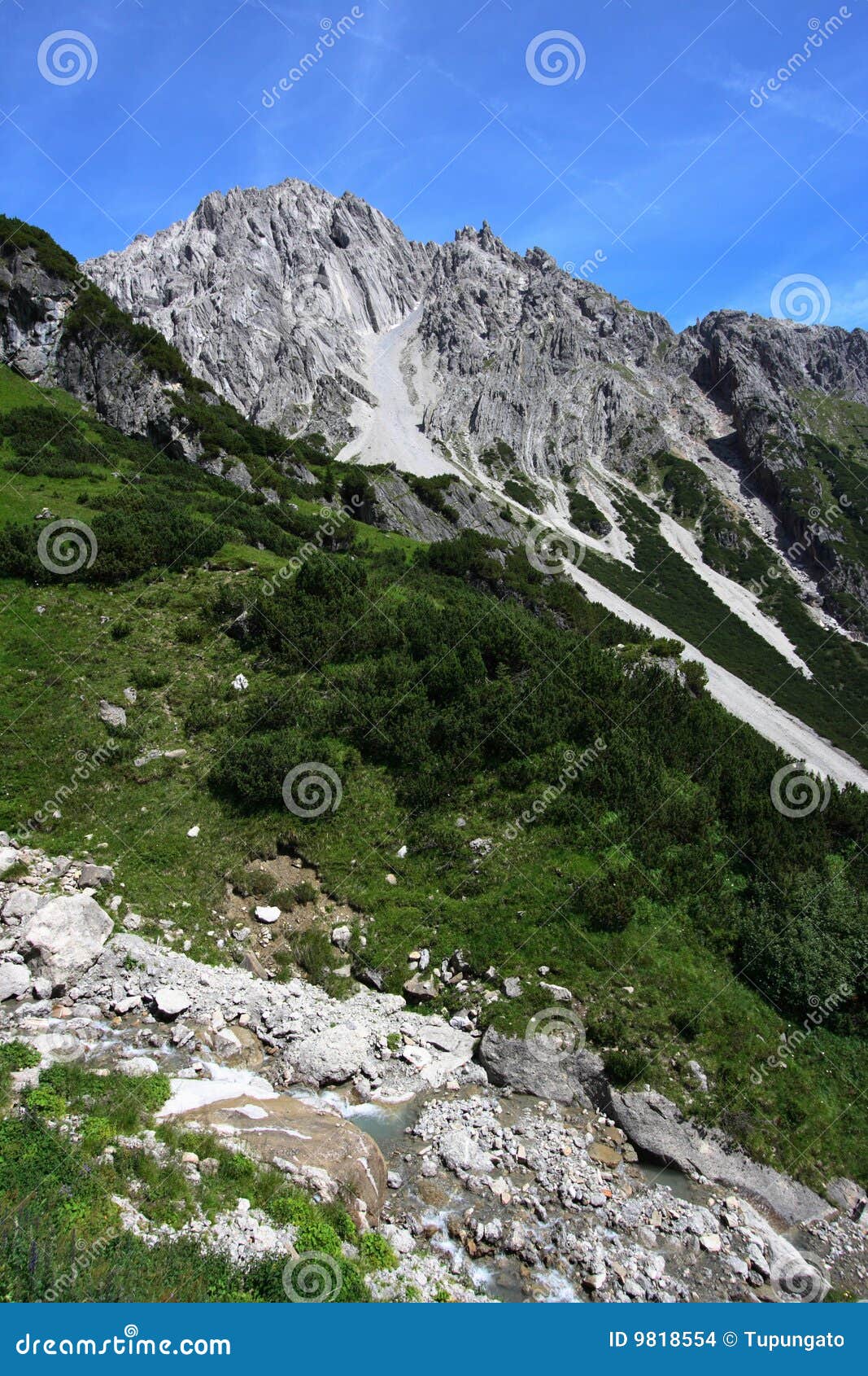 Alpi fotografia stock. Immagine di torrente, bello, scenico - 9818554