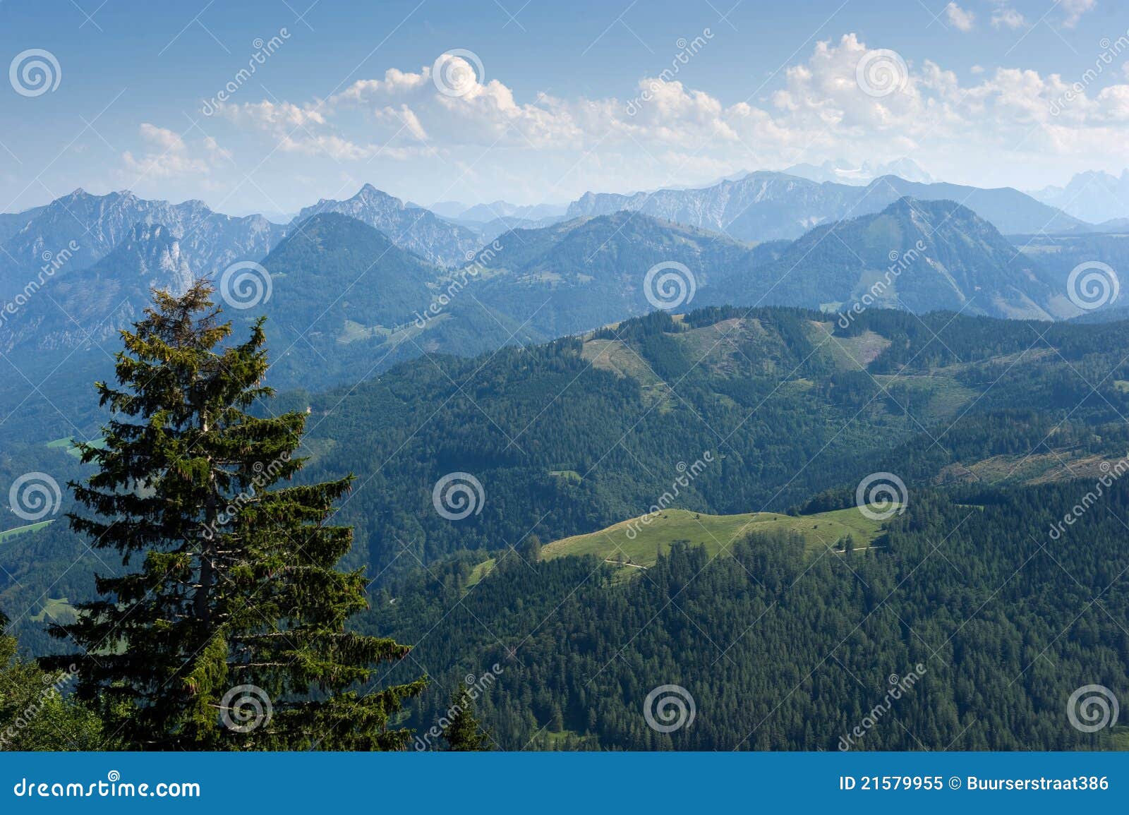 Alpi in Austria immagine stock. Immagine di alberi, foresta - 21579955
