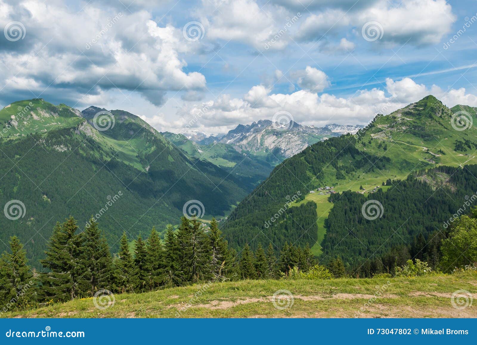 Alpi Francesi Di Estate, Morzine Fotografia Stock - Immagine di verde ...