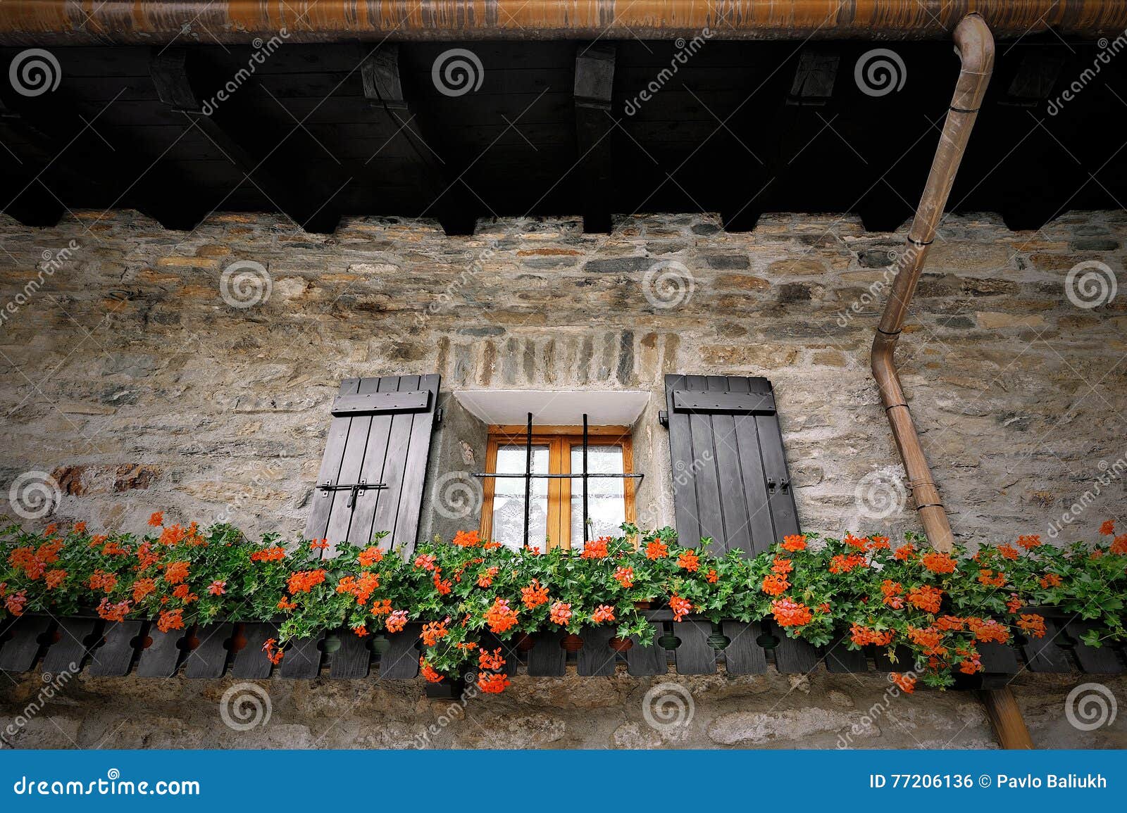 Alpien Window with Shutters and Flowers Stock Photo - Image of ...