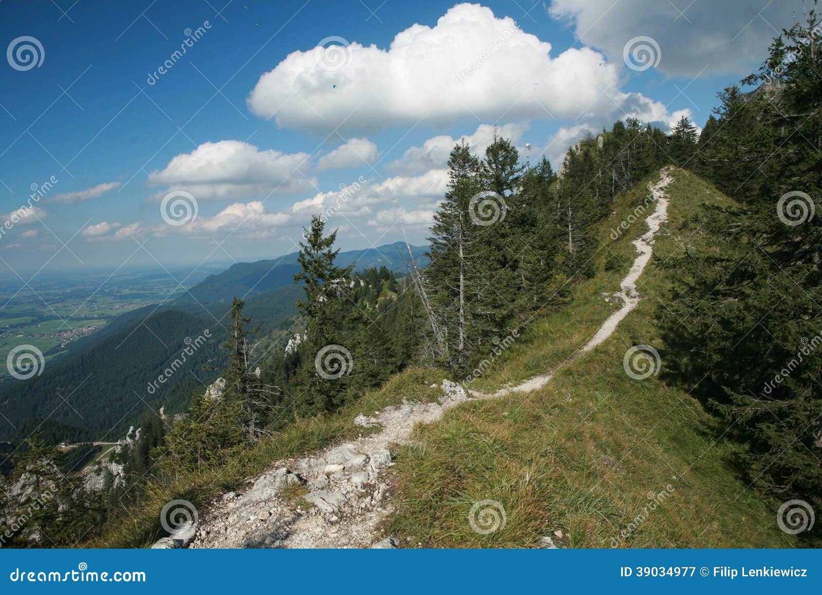 Alpiene Bergkam in De Zomer Stock Afbeelding - Image of gras, blauw ...